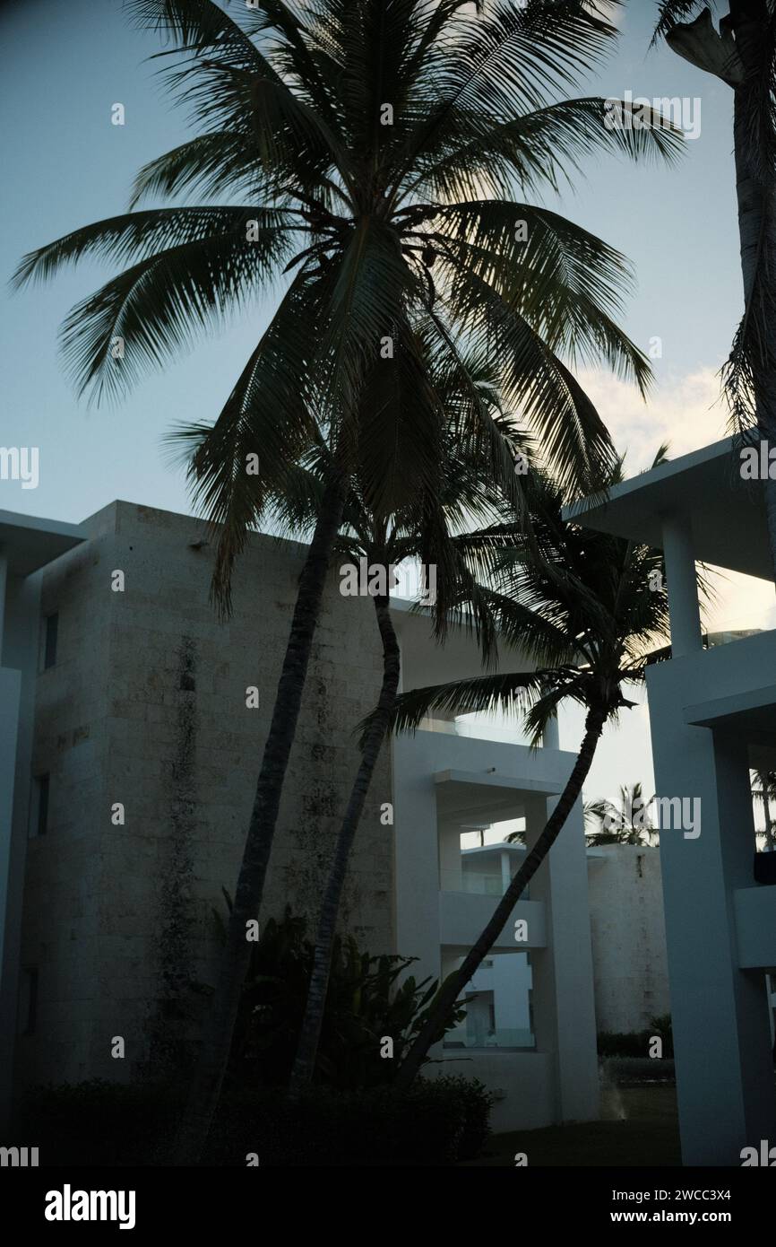 Real estate in the tropics hi-res stock photography and images - Alamy