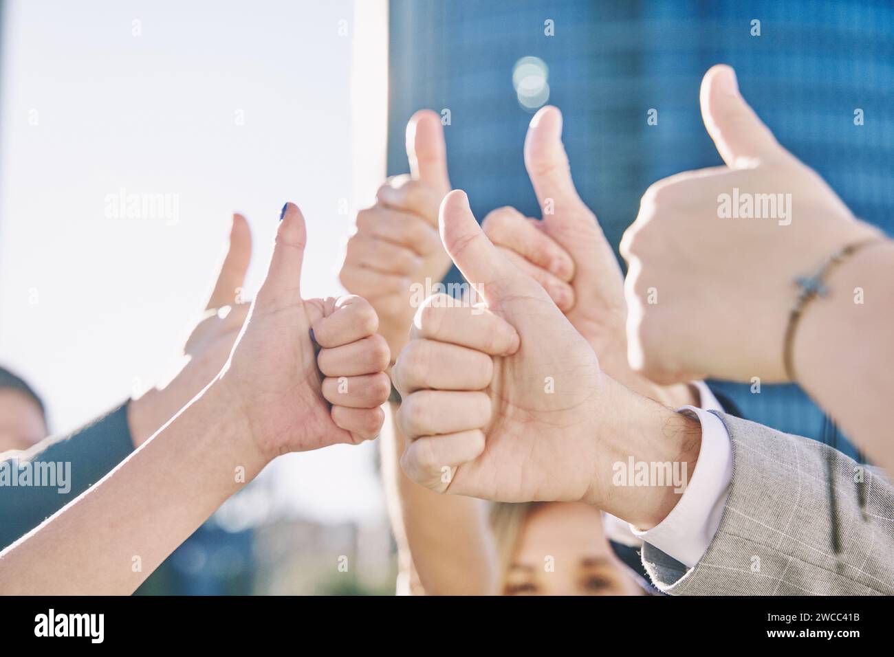 Success, thumbs up and group of people for thank you, support or teamwork hands winning, team in ...