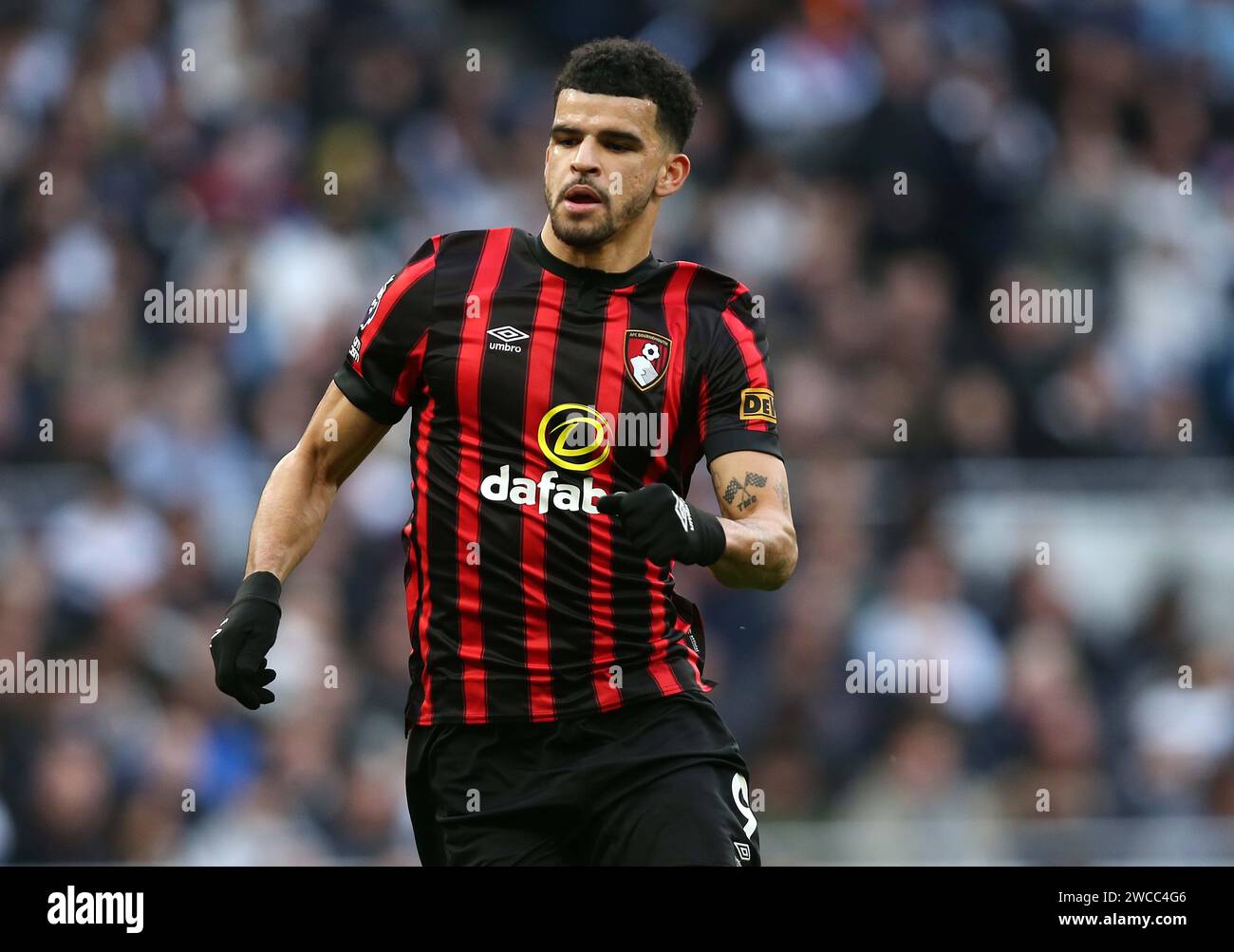 Dominic Solanke of AFC Bournemouth. - Tottenham Hotspur v AFC ...
