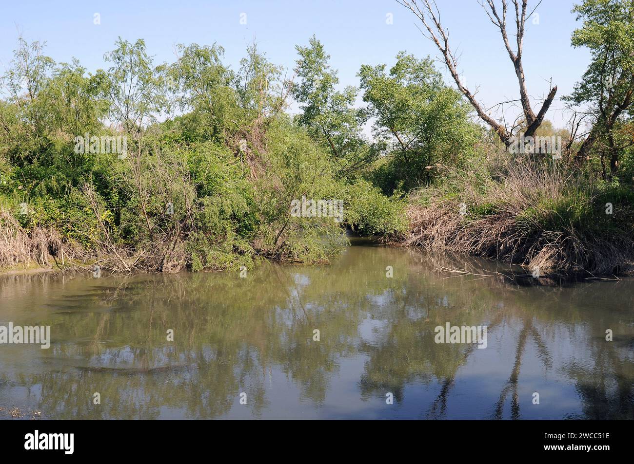Villamejor madrid hi-res stock photography and images - Alamy
