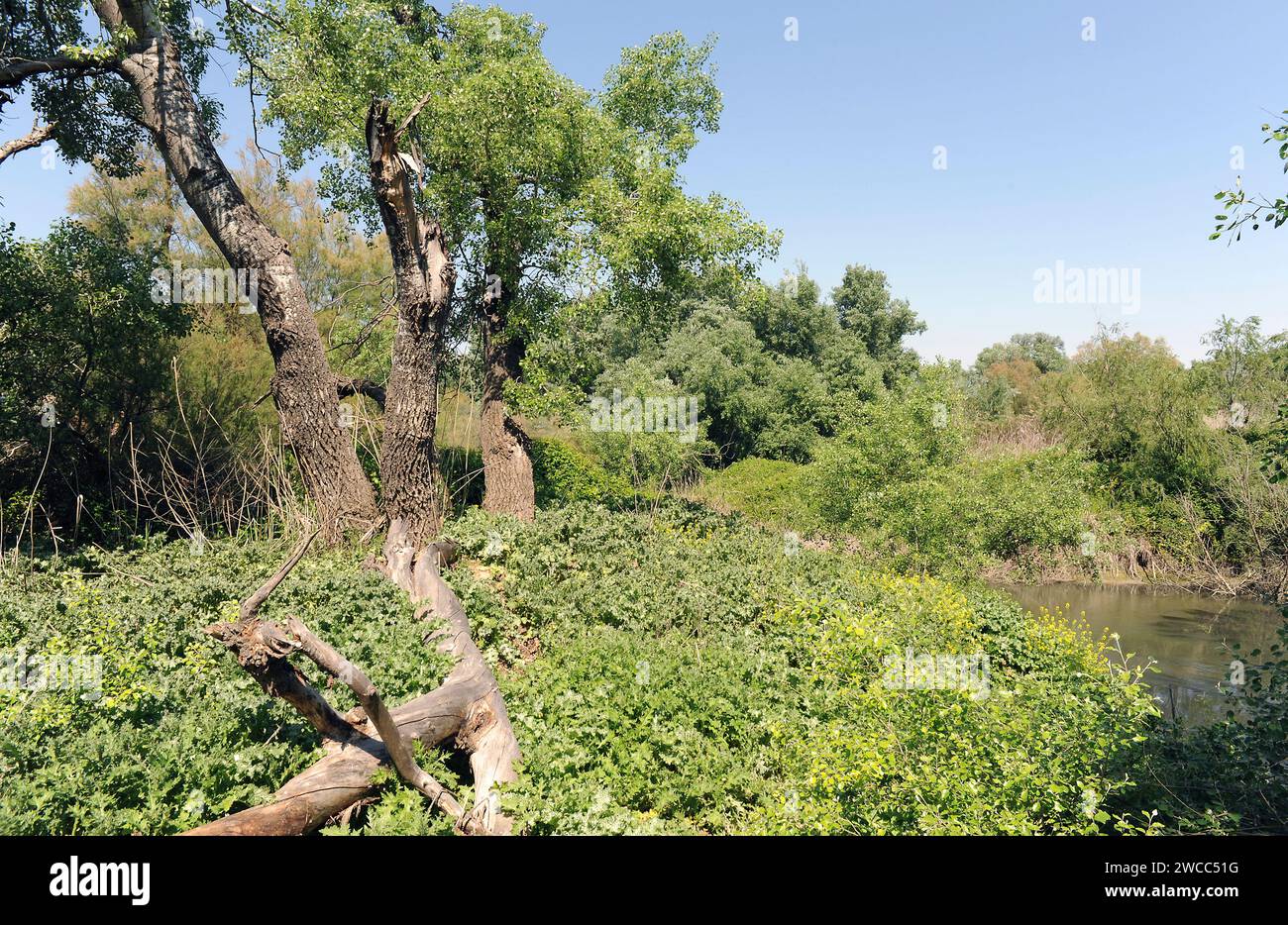 Villamejor madrid hi-res stock photography and images - Alamy
