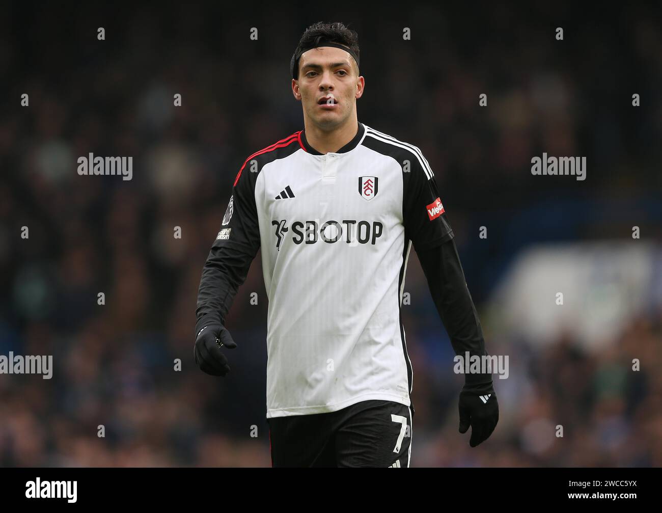 Raul Jimenez of Fulham. - Chelsea v Fulham, Premier League, Stamford ...