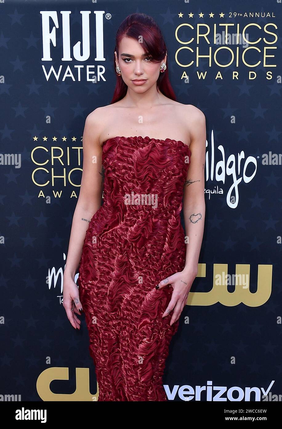 Santa Monica, California. January 14, 2024, Dua Lipa attends the 29th ...