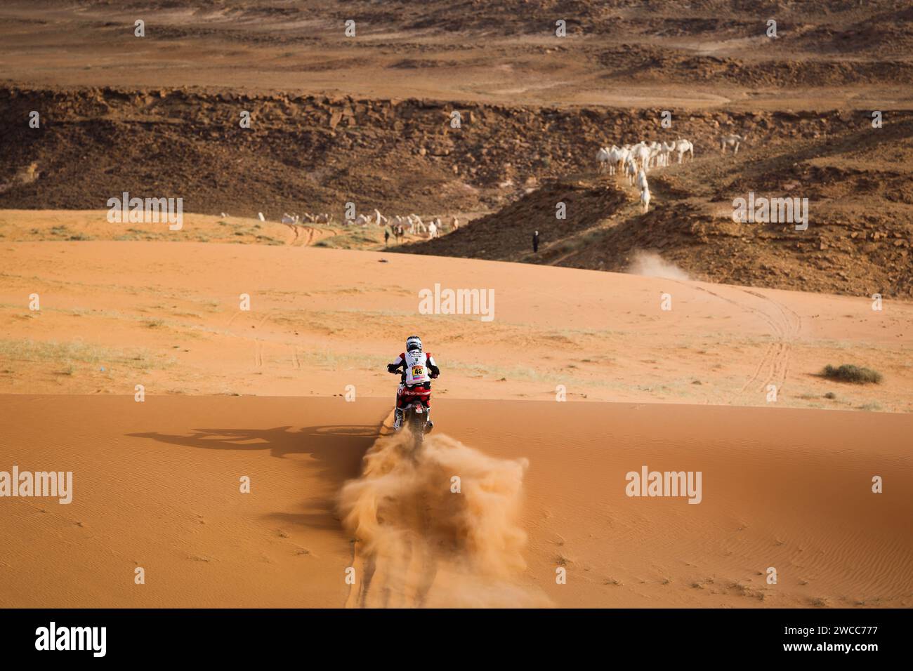 46 BRANCH Ross (bwa), Hero Motorsports Team Rally, Hero, Motul, Moto ...