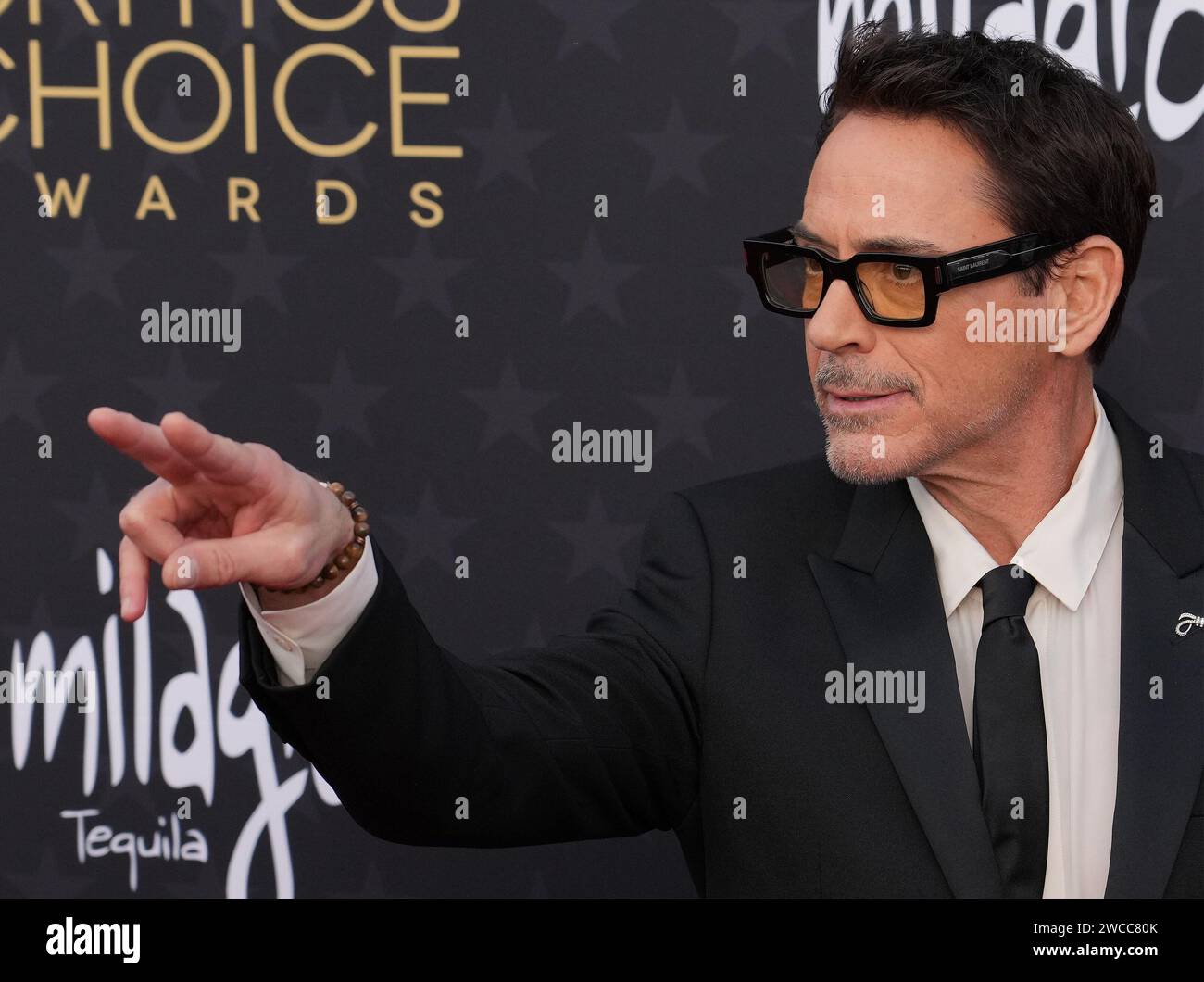 Robert Downey Jr. arrives at the 29th Annual Critics Choice Awards held ...