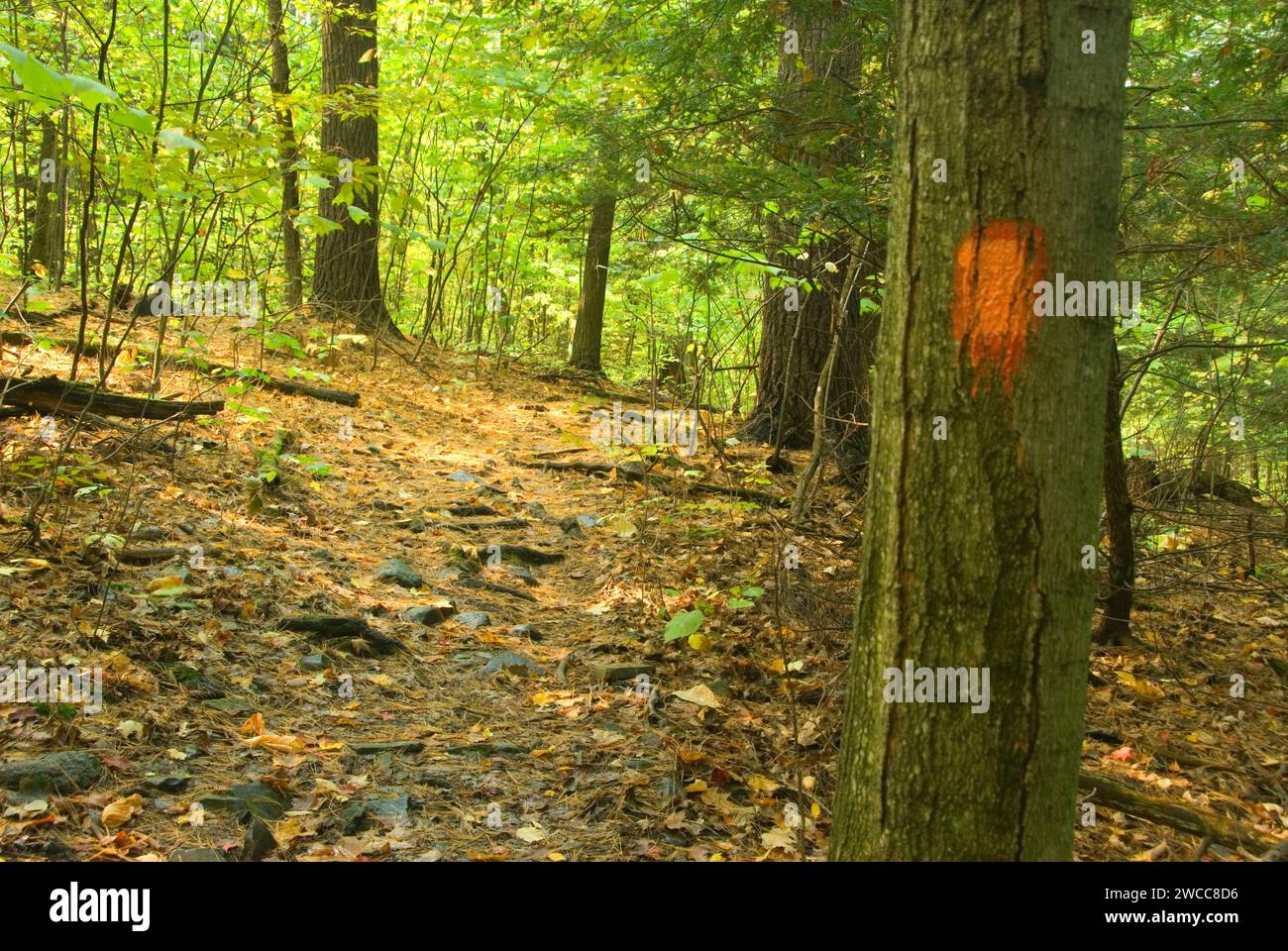 Bristol Hills Trail (Finger Lakes Trail system), Hi Tor Wildlife ...