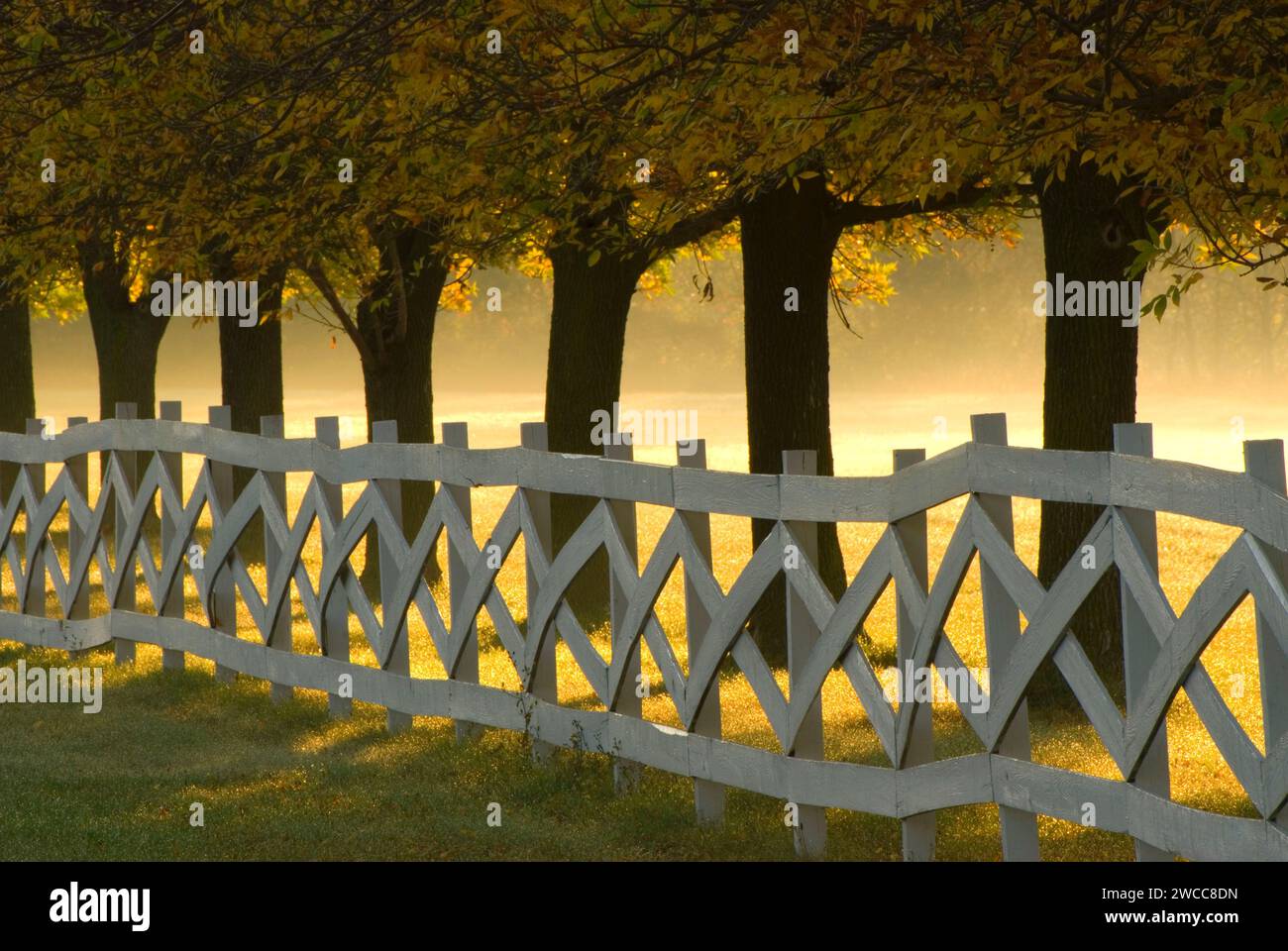 Grounds fence, Finger Lakes Race Track, New York Stock Photo - Alamy