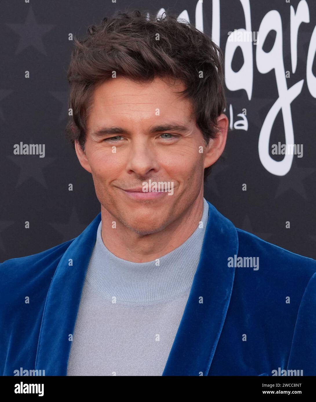 Los Angeles, USA. 06th Dec, 2022. James Marsden arrives at the 29th ...
