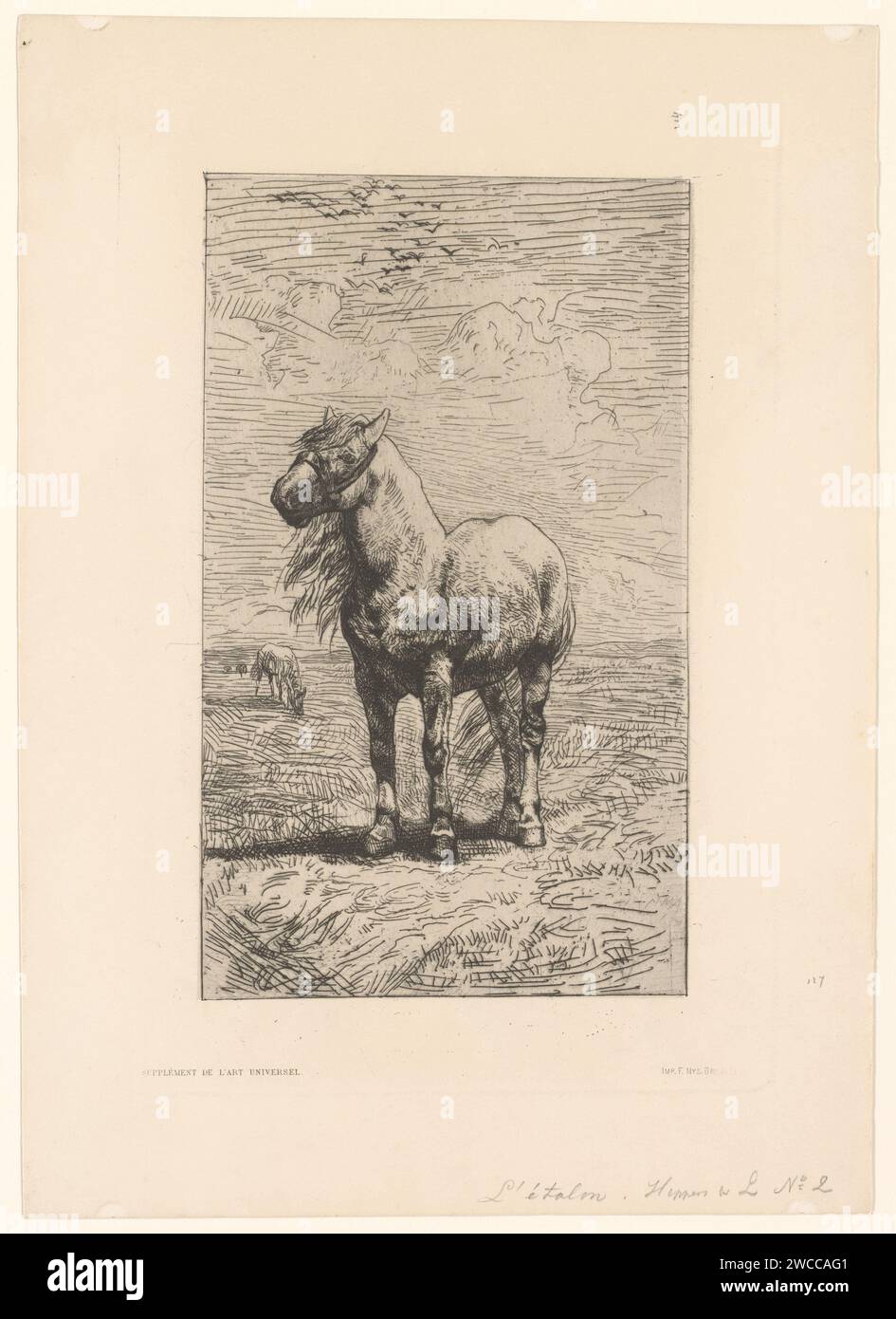 Horse with halter in a landscape, Alfred Verwee, c. 1870 print Brussels ...