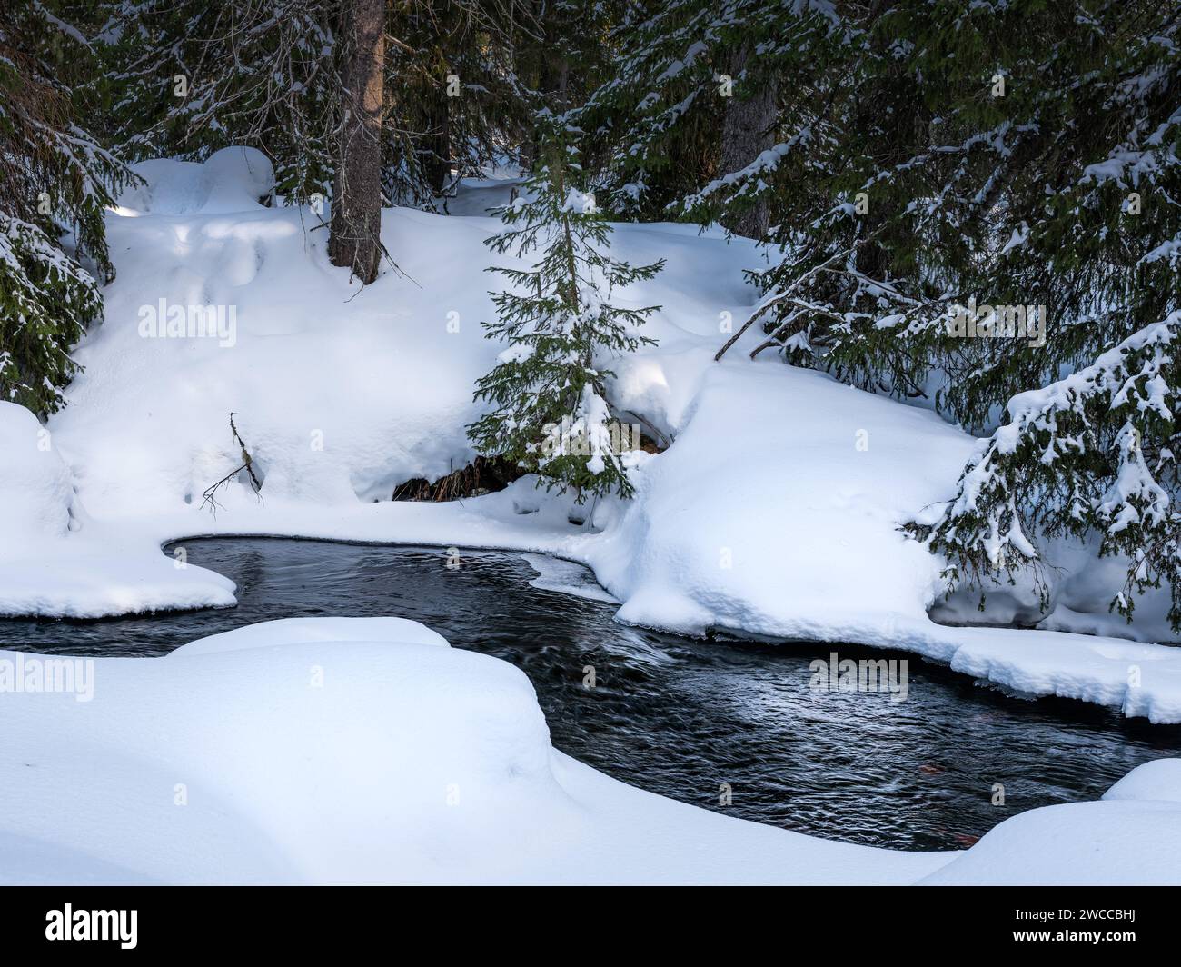 Forest hill pool hi-res stock photography and images - Alamy