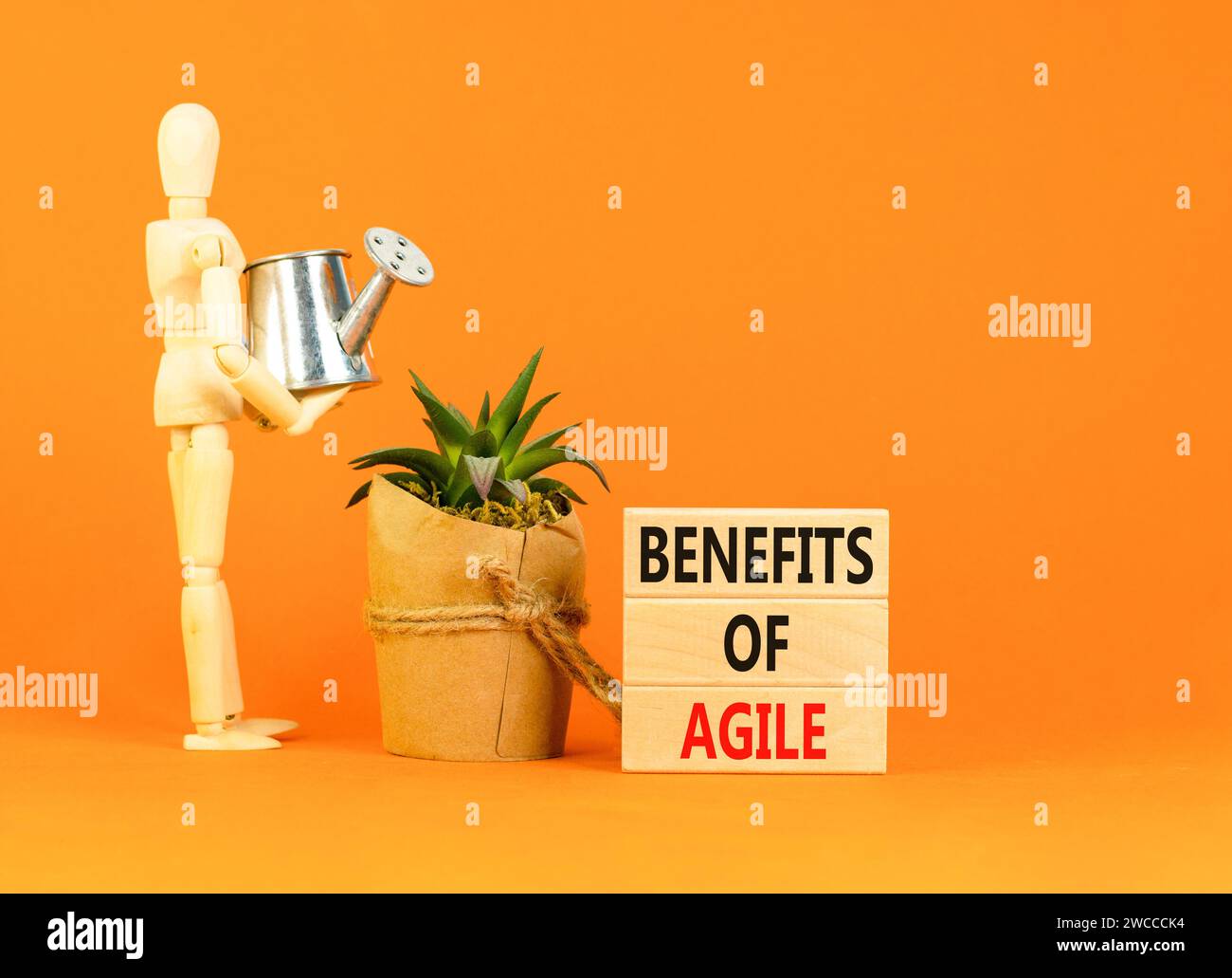 Benefits of agile symbol. Concept words Benefits of agile on beautiful ...