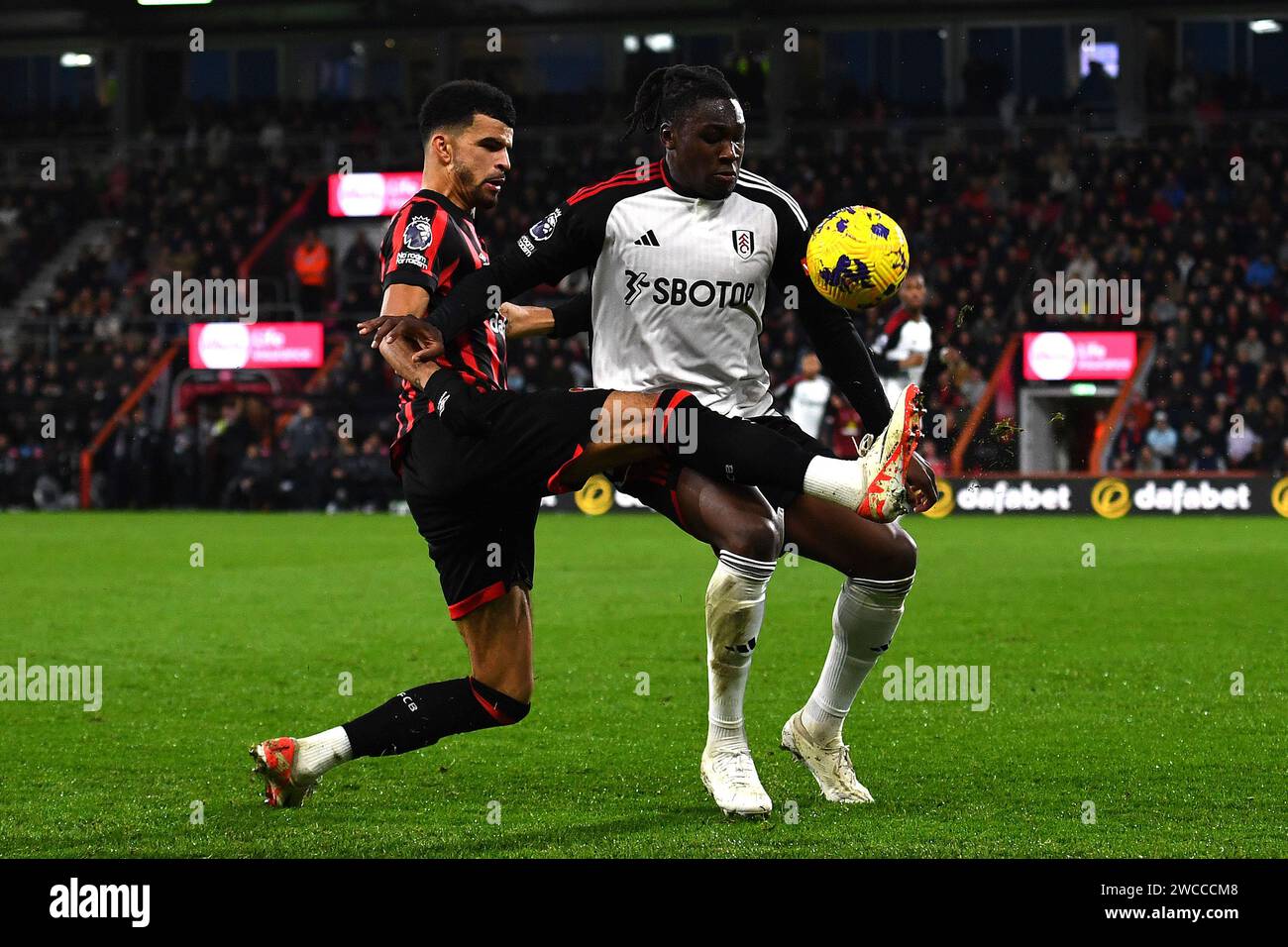 Dominic solanke december 2023 hi-res stock photography and images - Alamy