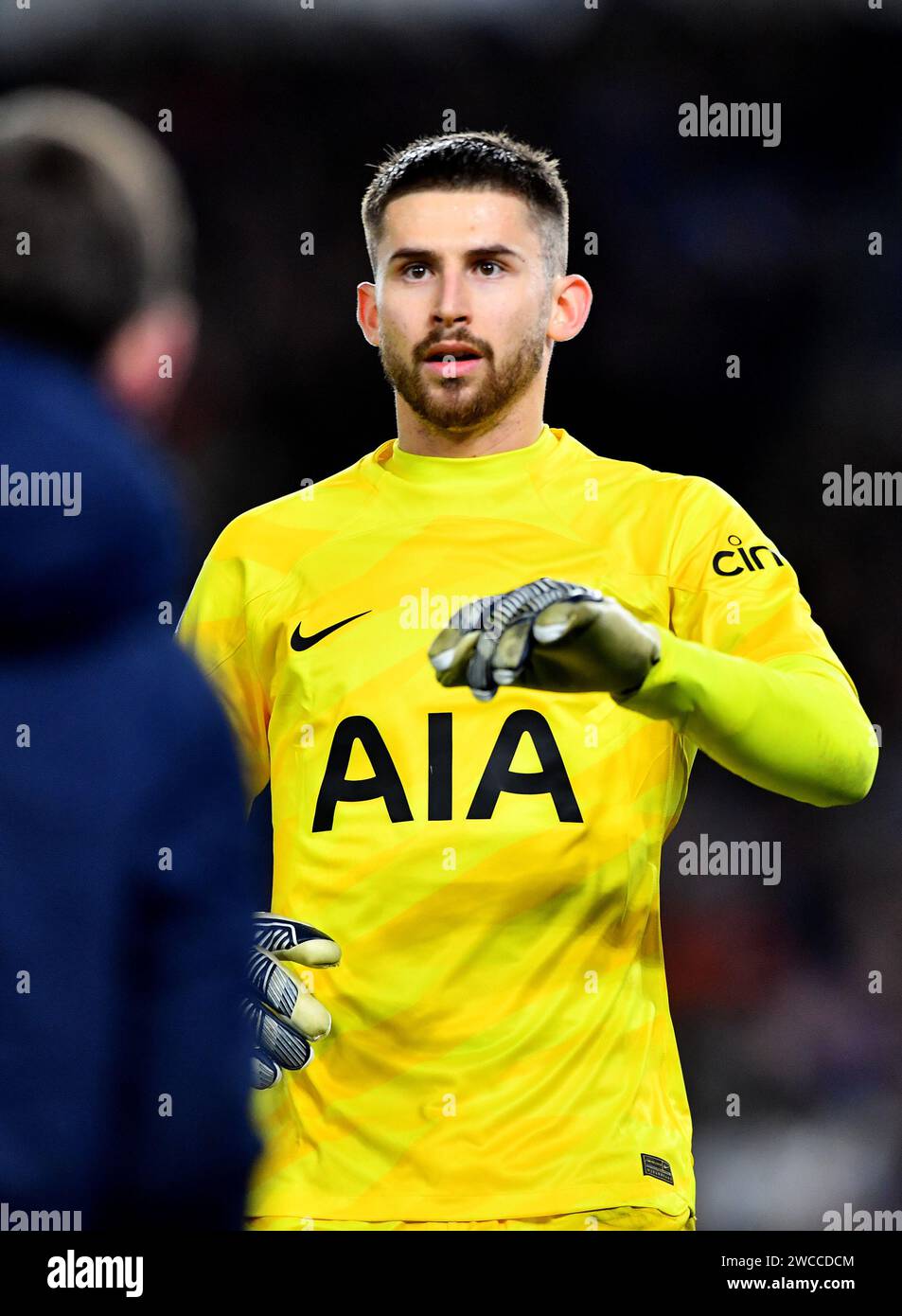 Guglielmo Vicario of Tottenham Hotspur - Brighton & Hove Albion v ...
