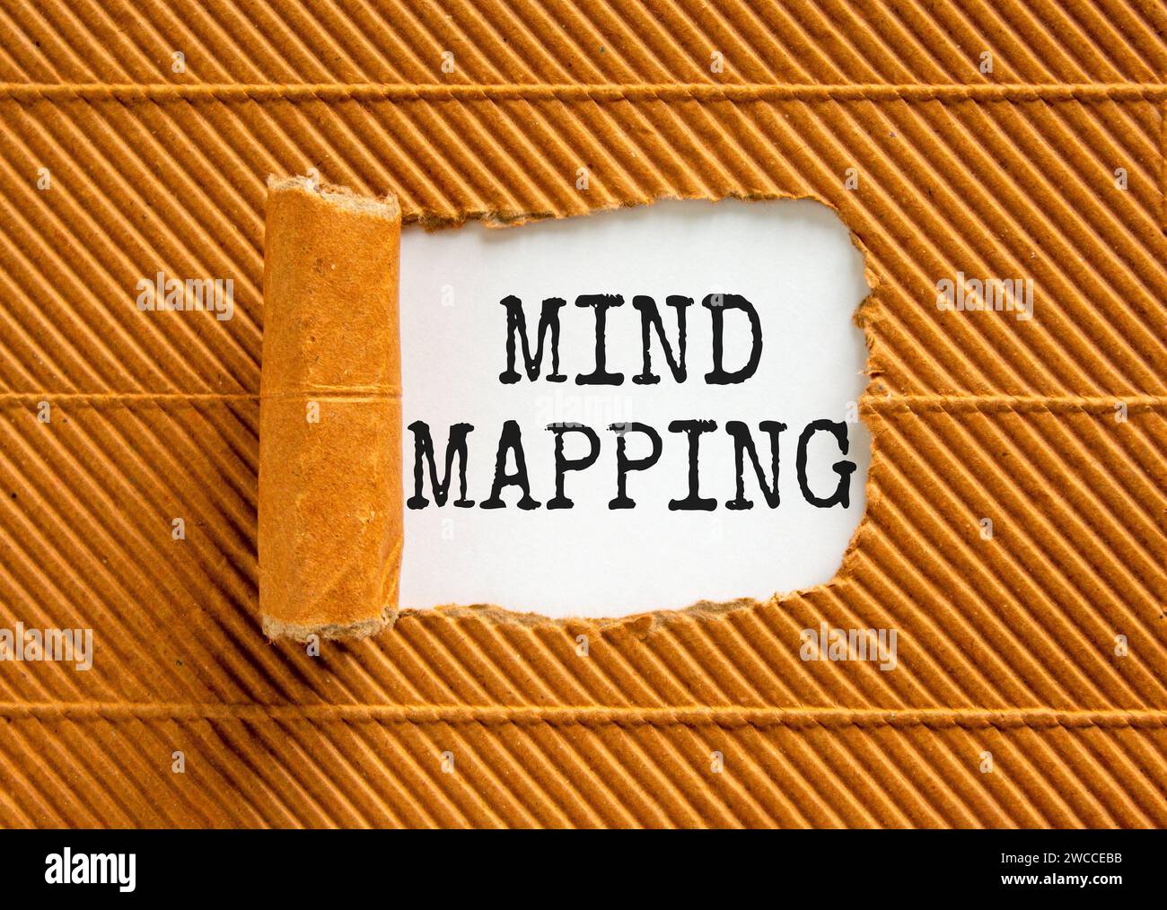 Mind mapping symbol. Concept words Mind mapping on beautiful white ...