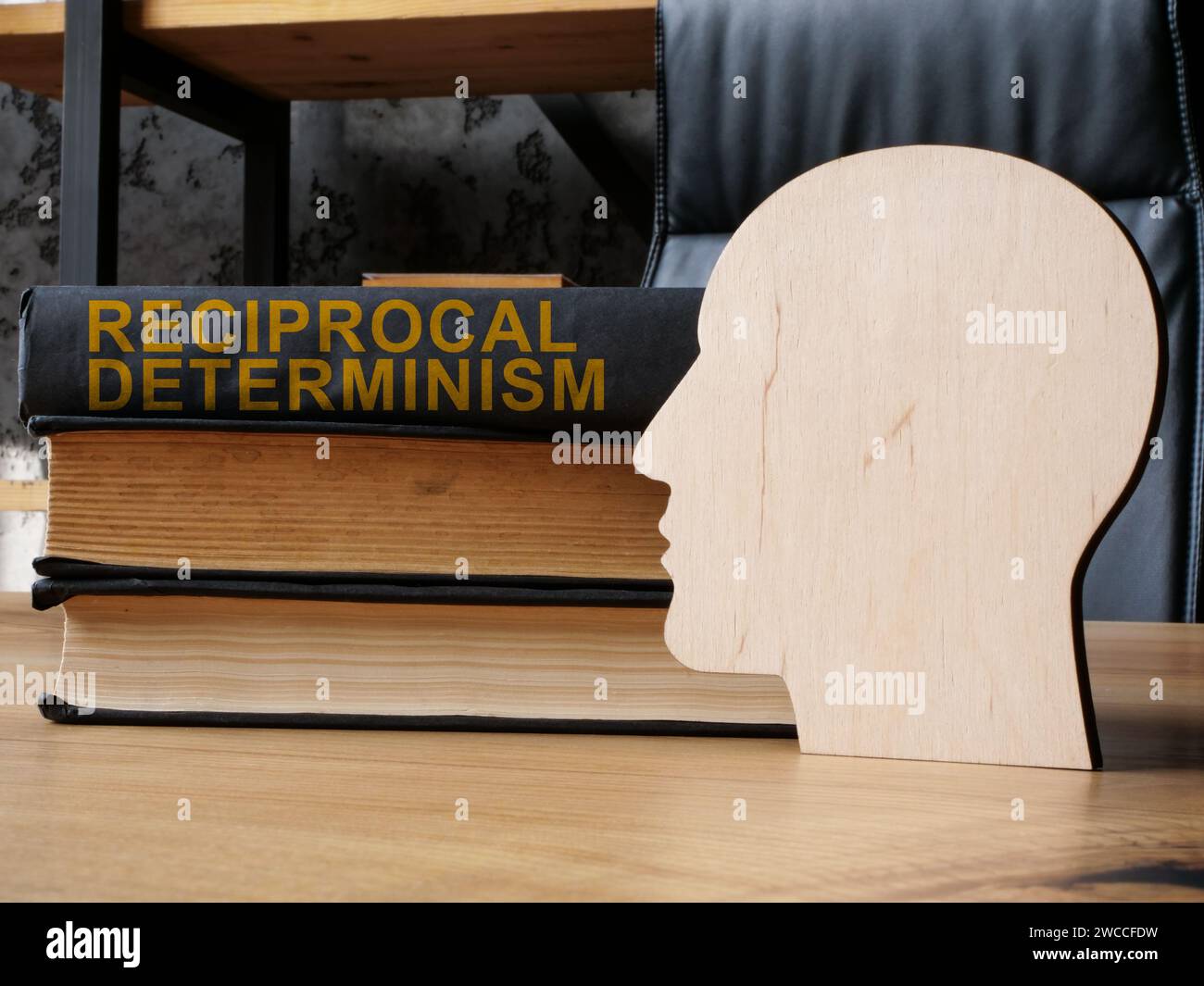 Reciprocal relationship hi-res stock photography and images - Alamy