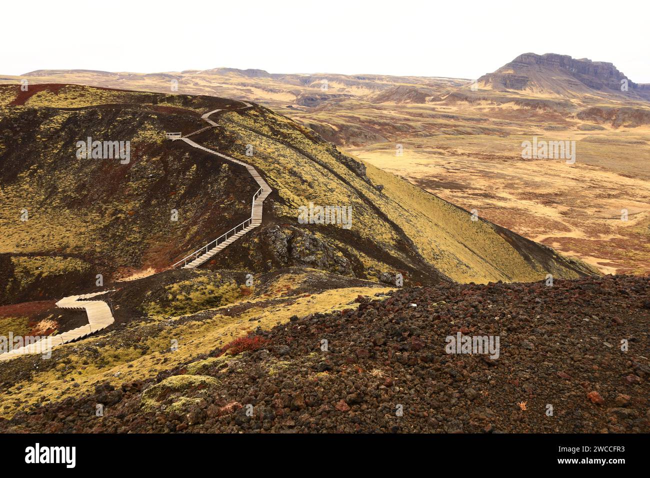 Grábrók is an explosive volcano, about 170 meters high and located in ...