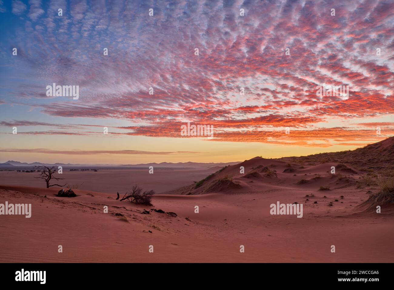 atmospheric clouds while sunset over dunes of Namib desert, Namibia ...
