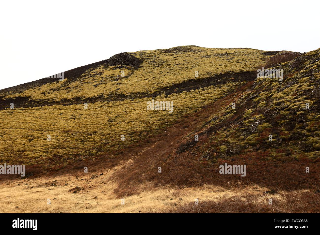 Grábrók is an explosive volcano, about 170 meters high and located in ...