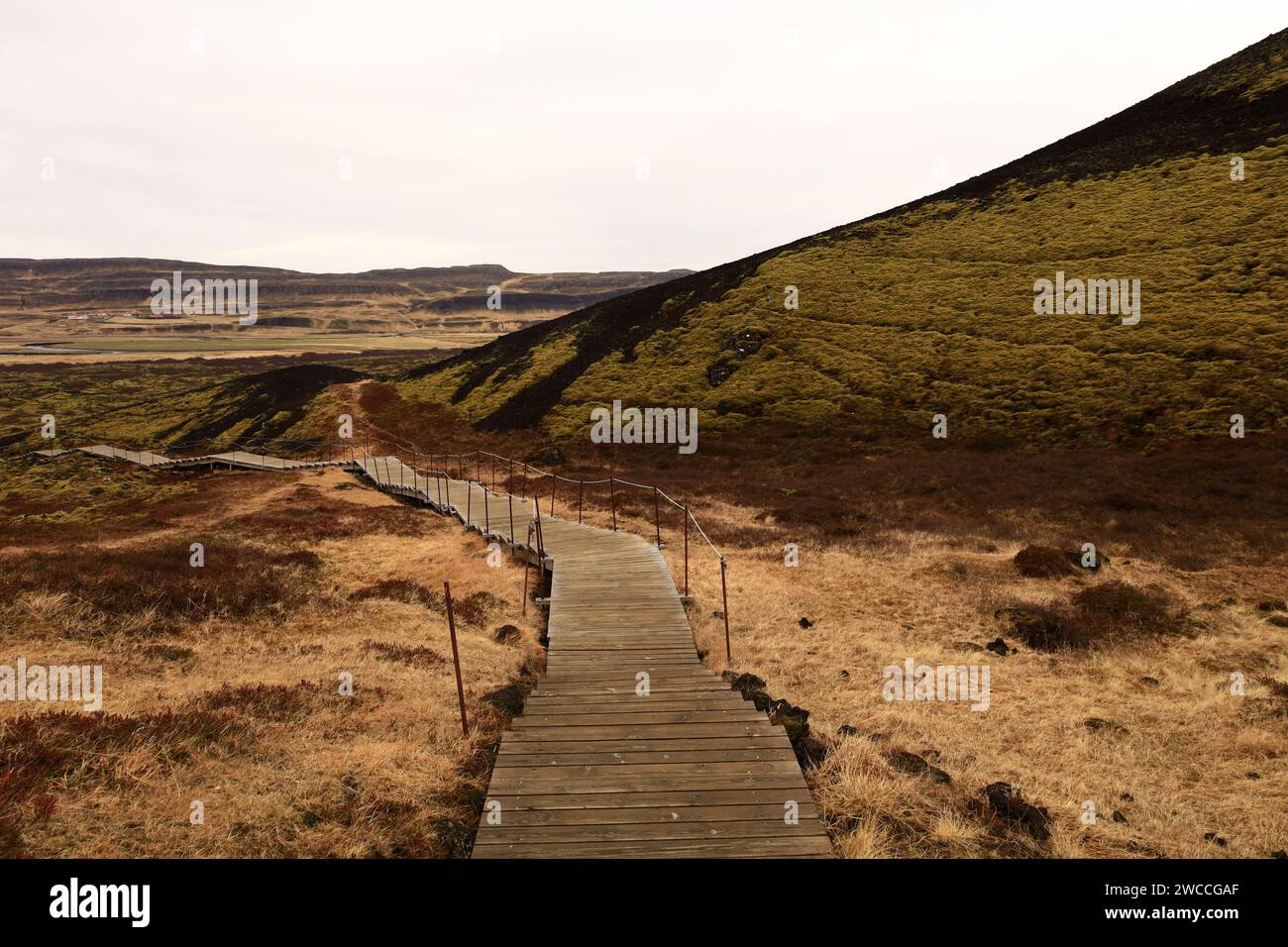 Grábrók is an explosive volcano, about 170 meters high and located in ...
