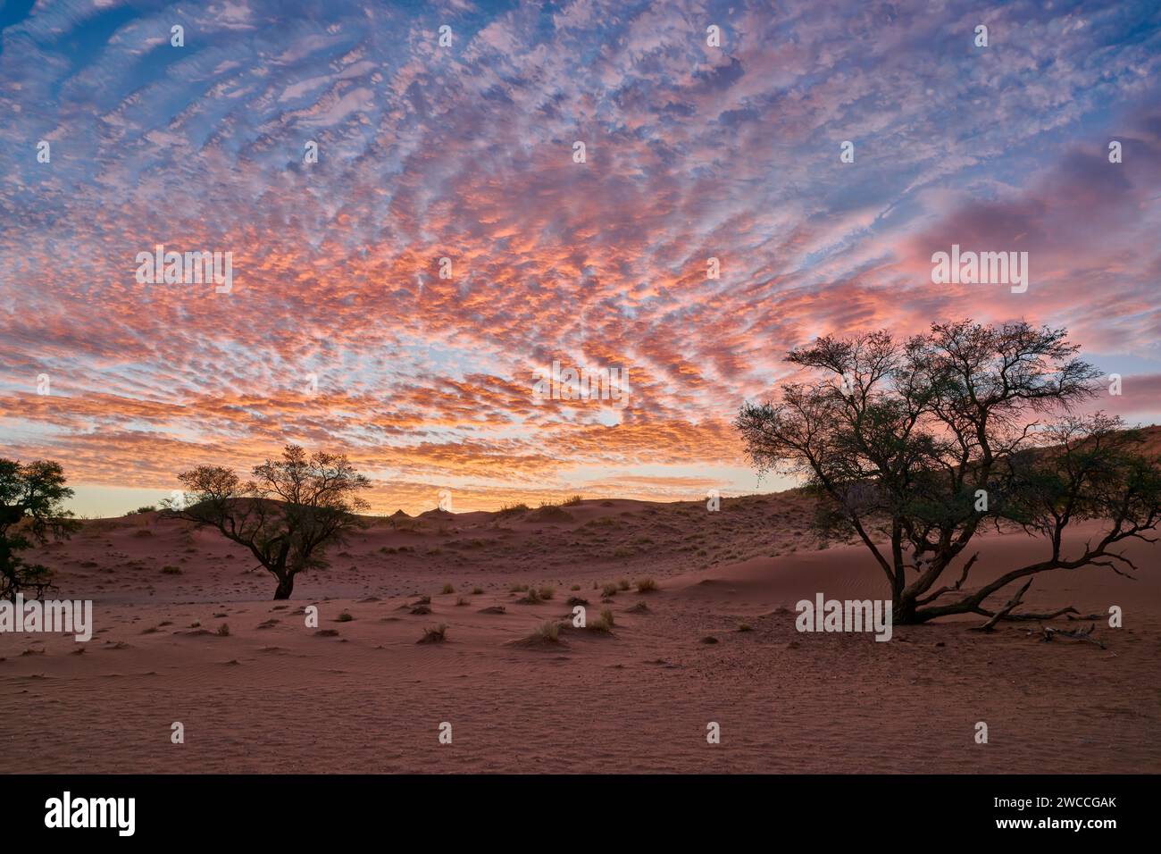 atmospheric clouds while sunset over dunes of Namib desert, Namibia ...