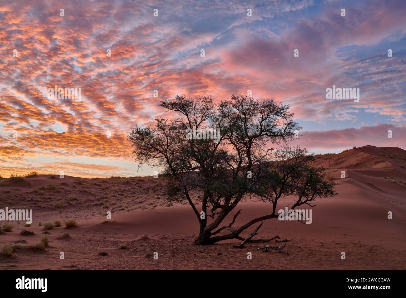 atmospheric clouds while sunset over dunes of Namib desert, Namibia ...