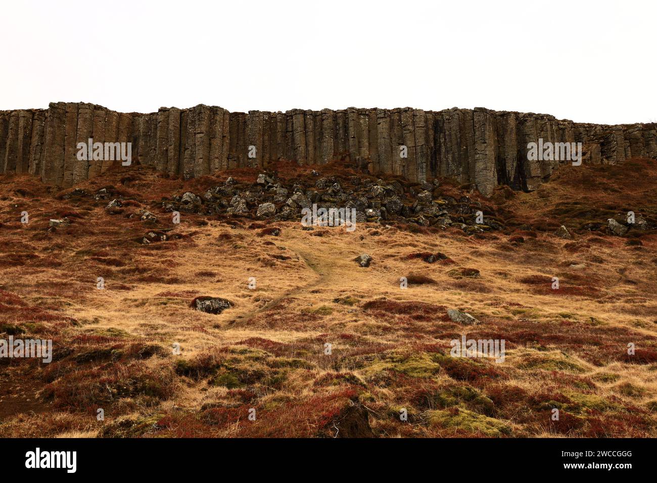 Gerðuberg is a dolerite cliff, a coarse-grained basalt rock, located on ...