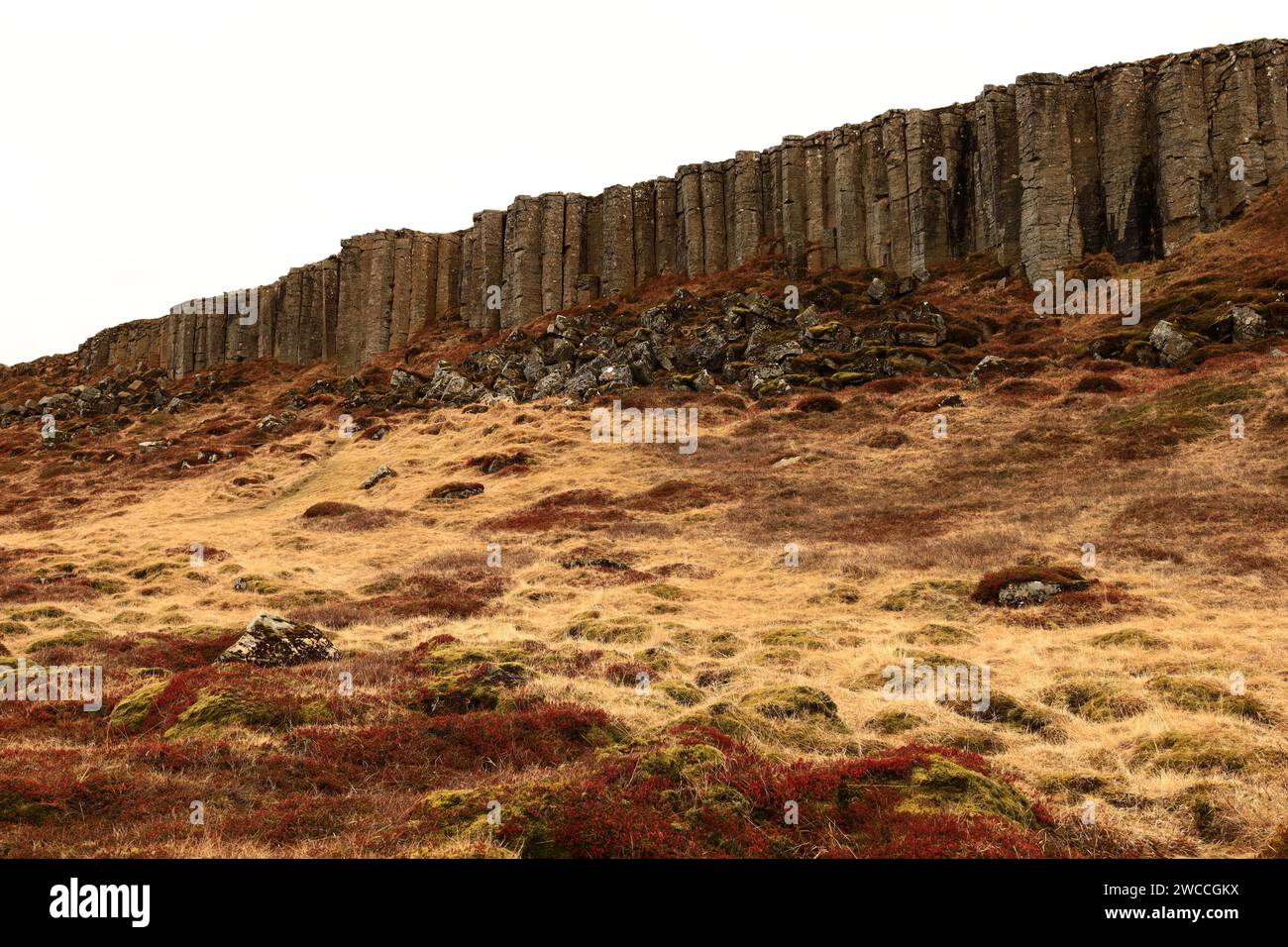 Gerðuberg is a dolerite cliff, a coarse-grained basalt rock, located on ...