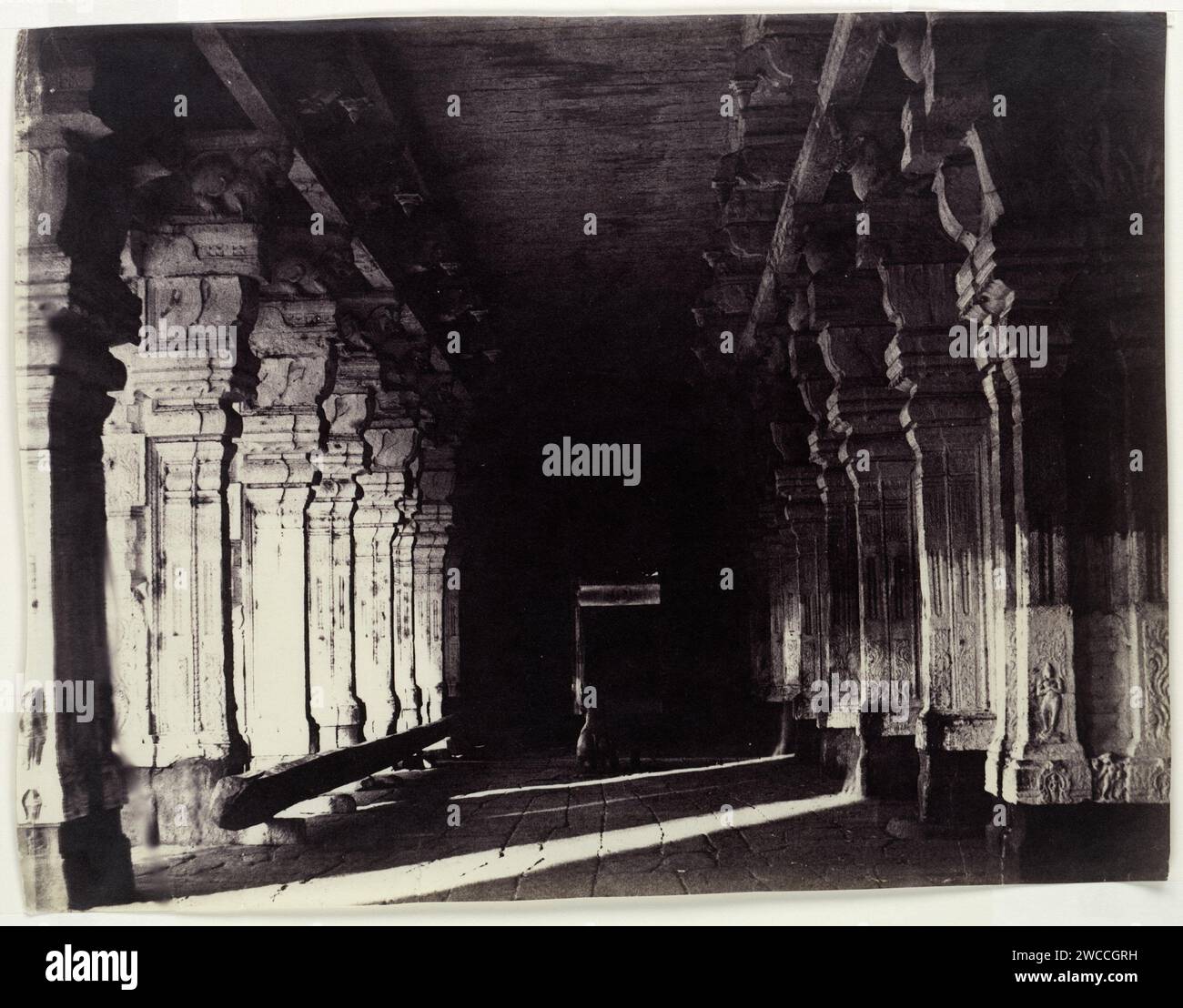 Zuilengang in de Viravasuntarayan Mundapam in Madurai, India, Linnaeus ...