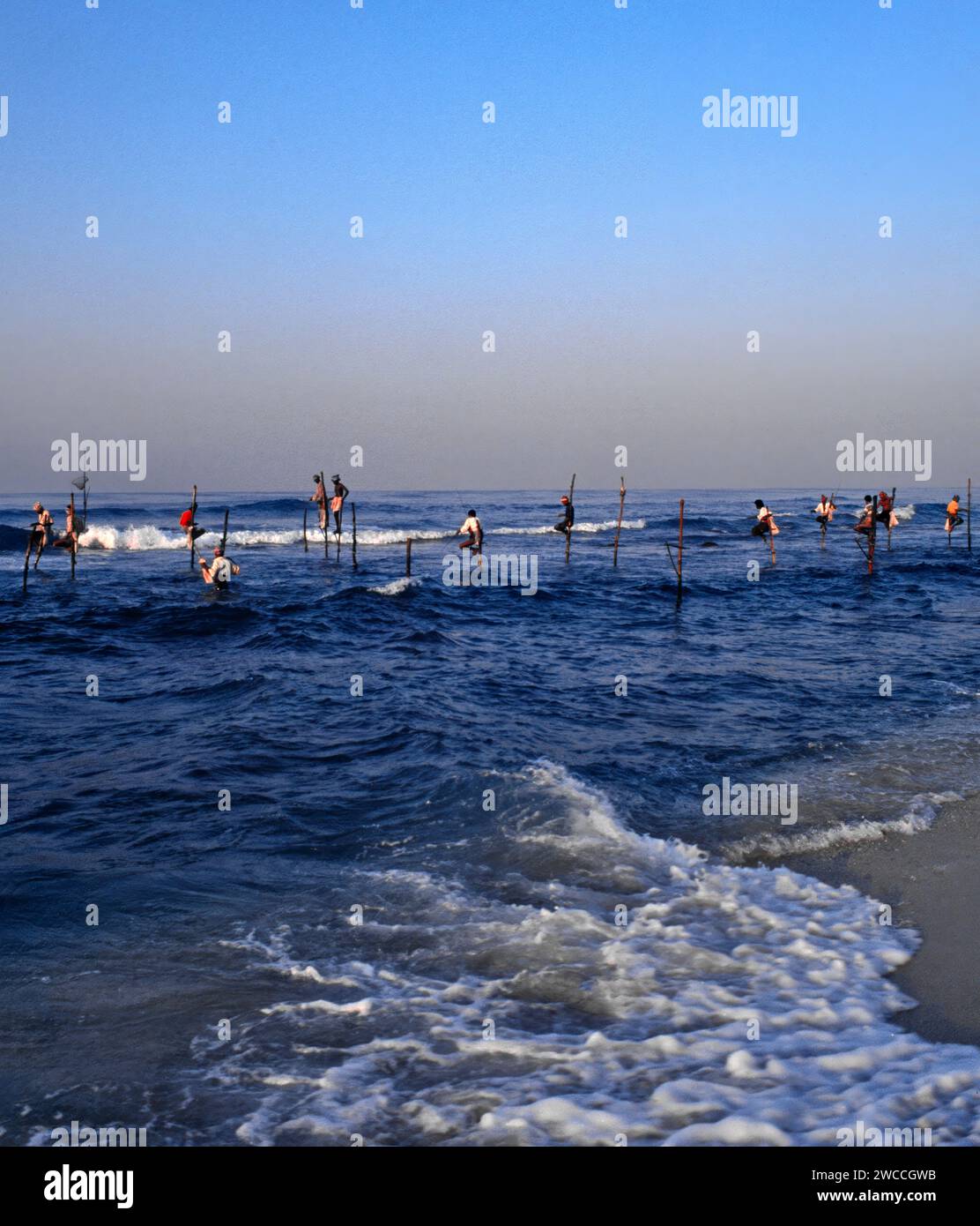Stilt Fishermen fishing on an early summer morning Sri Lanka Stock ...