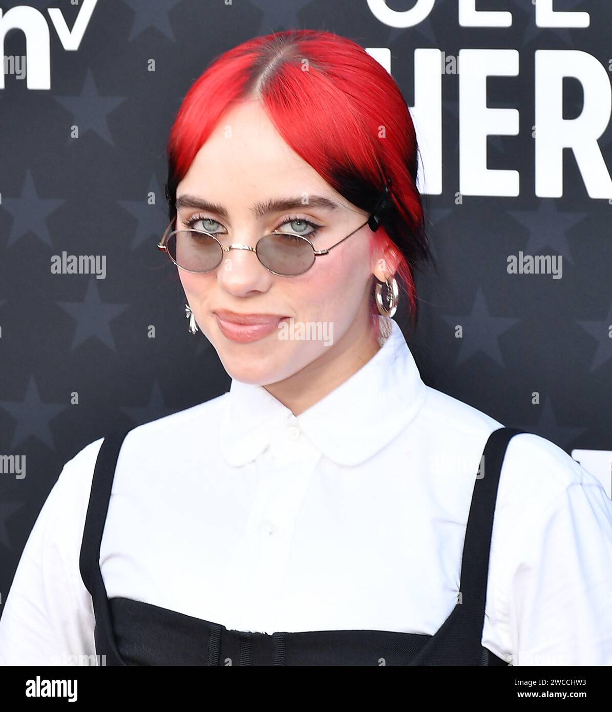 Santa Monica, USA. 15th Jan, 2024. Billie Eilish attends the 29th ...