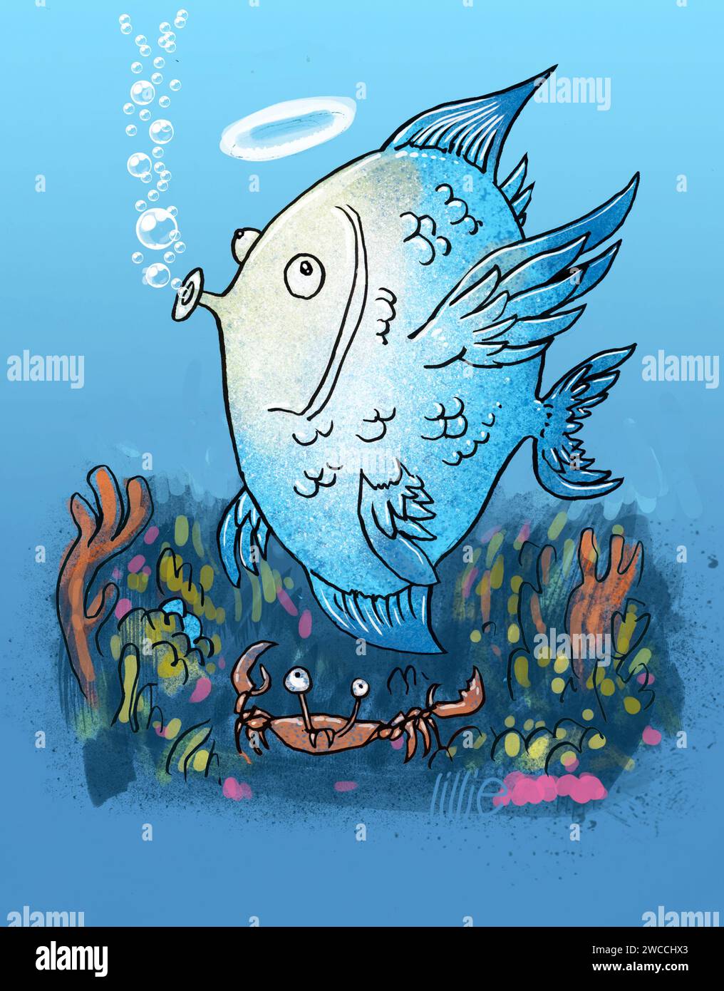 Angelfish with halo hi-res stock photography and images - Alamy