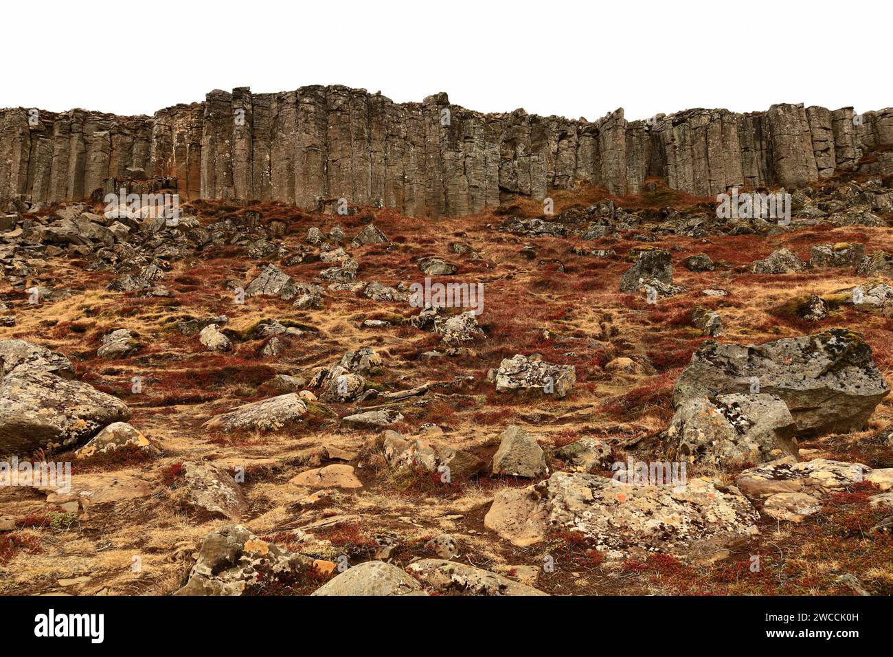 Gerðubergis a dolerite cliff, a coarse-grained basalt rock, located on ...