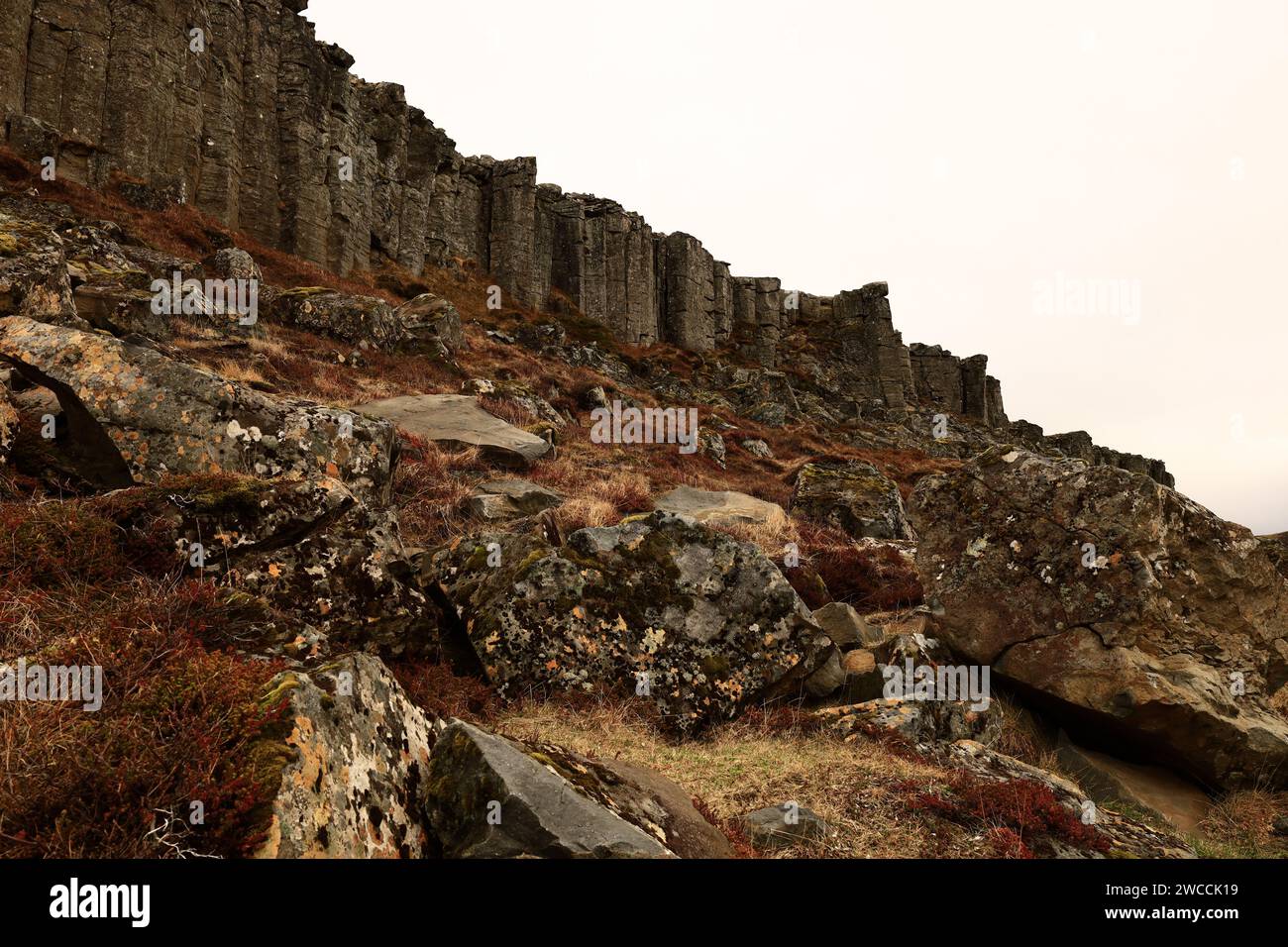 Gerðubergis a dolerite cliff, a coarse-grained basalt rock, located on ...