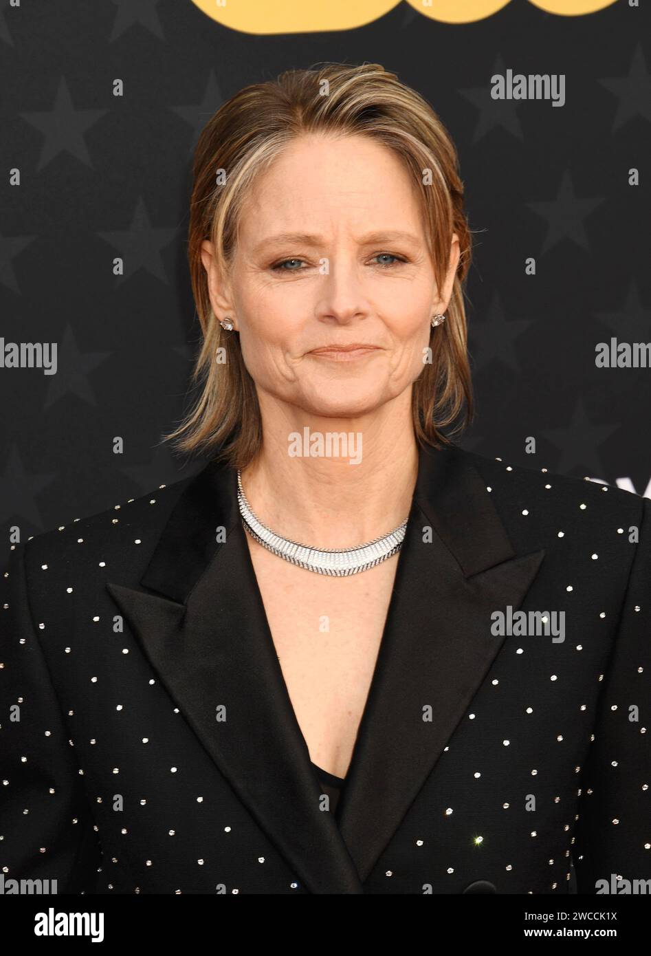SANTA MONICA, CALIFORNIA - JANUARY 14: Jodie Foster attends the 29th ...