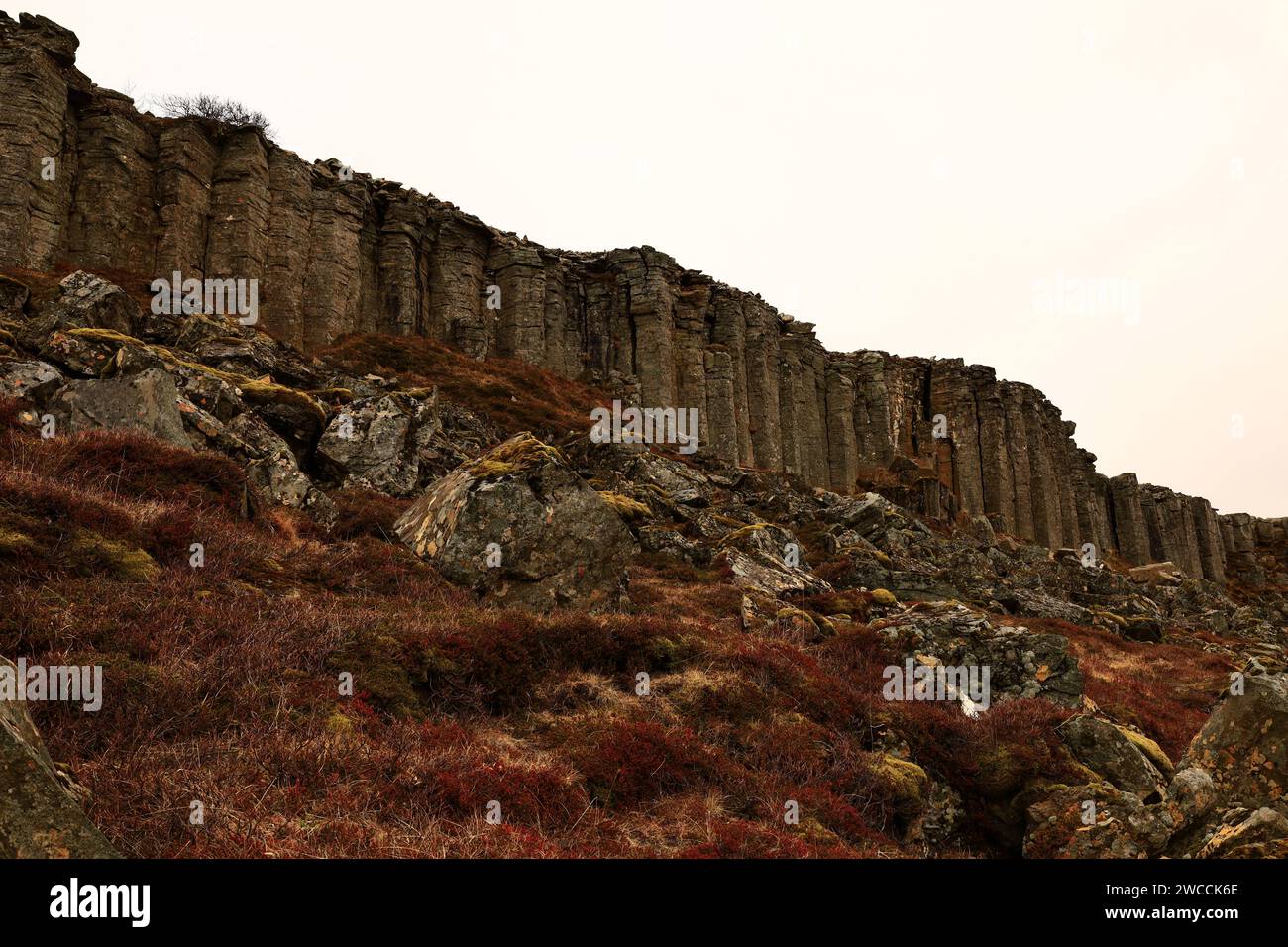 Gerðubergis a dolerite cliff, a coarse-grained basalt rock, located on ...