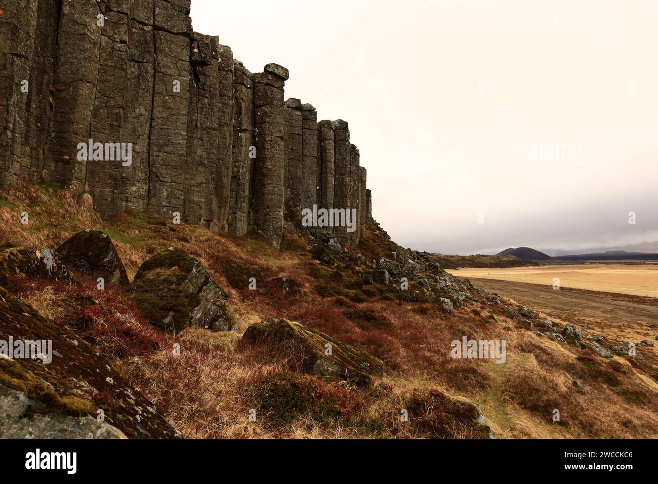 Gerðubergis a dolerite cliff, a coarse-grained basalt rock, located on ...