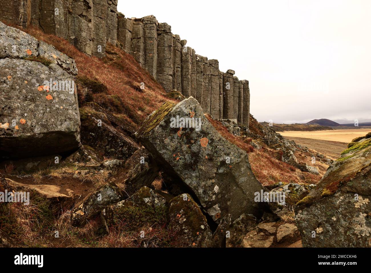 Gerðubergis a dolerite cliff, a coarse-grained basalt rock, located on ...