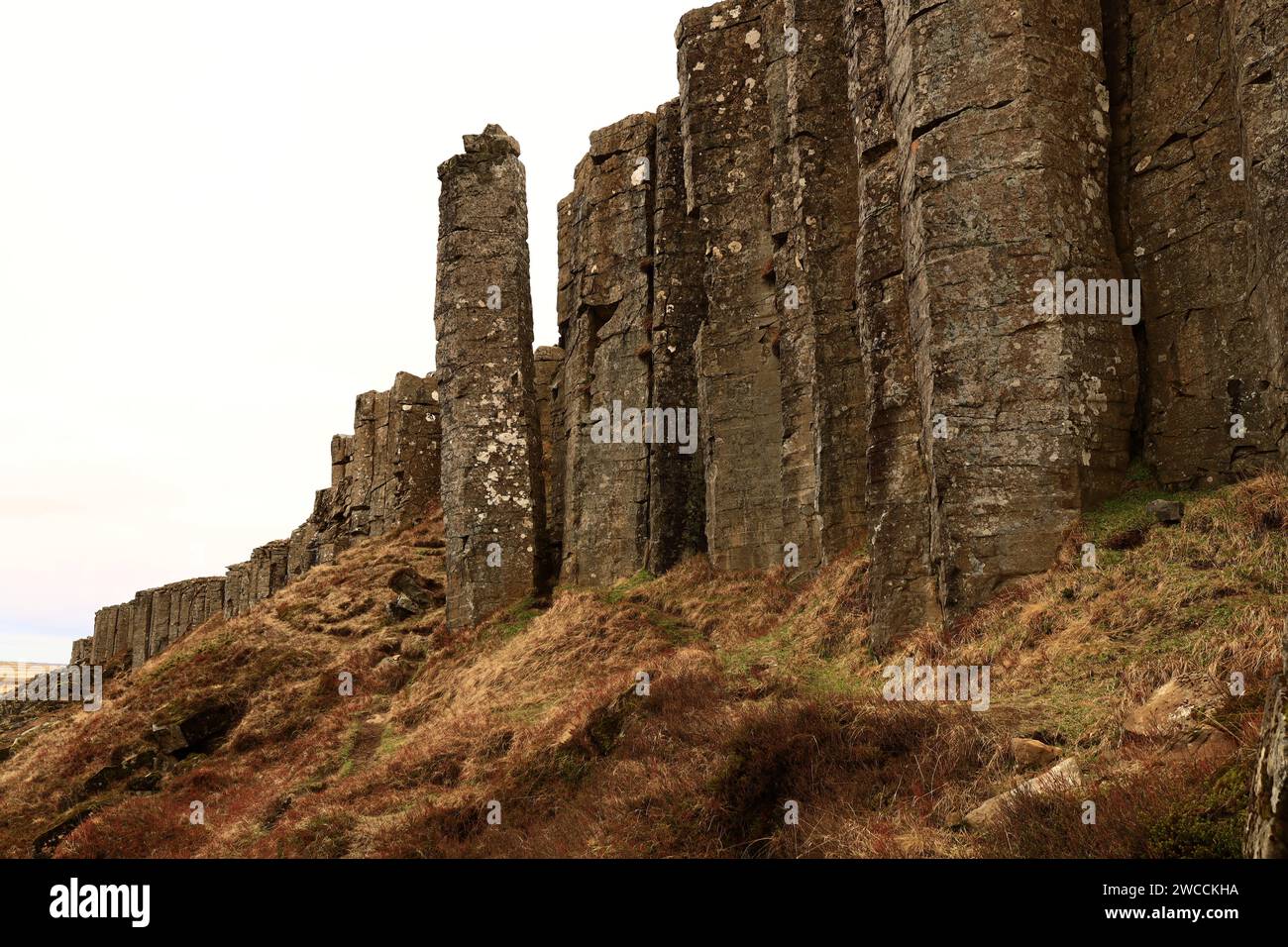Gerðubergis a dolerite cliff, a coarse-grained basalt rock, located on ...