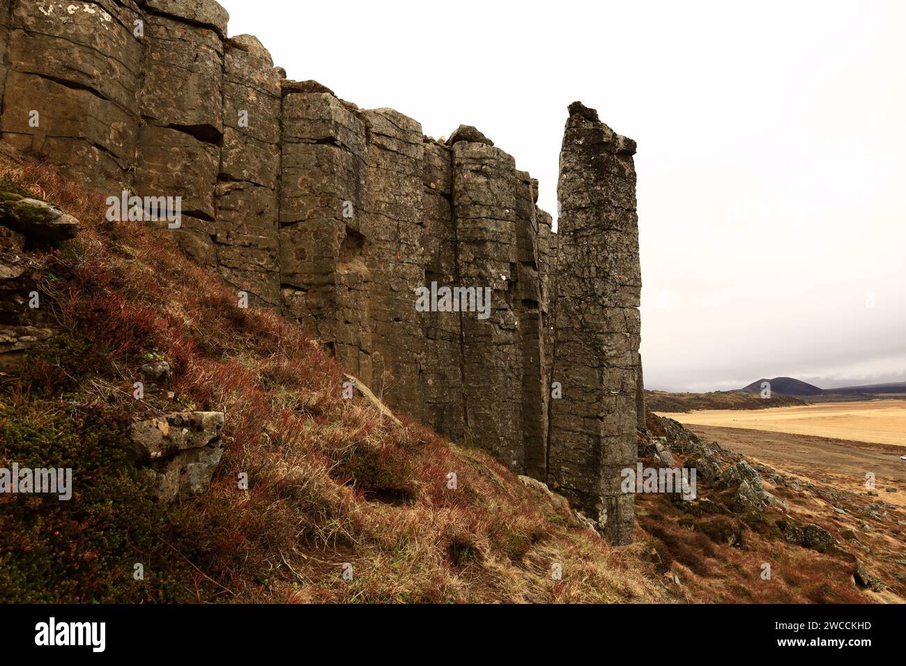 Gerðubergis a dolerite cliff, a coarse-grained basalt rock, located on ...