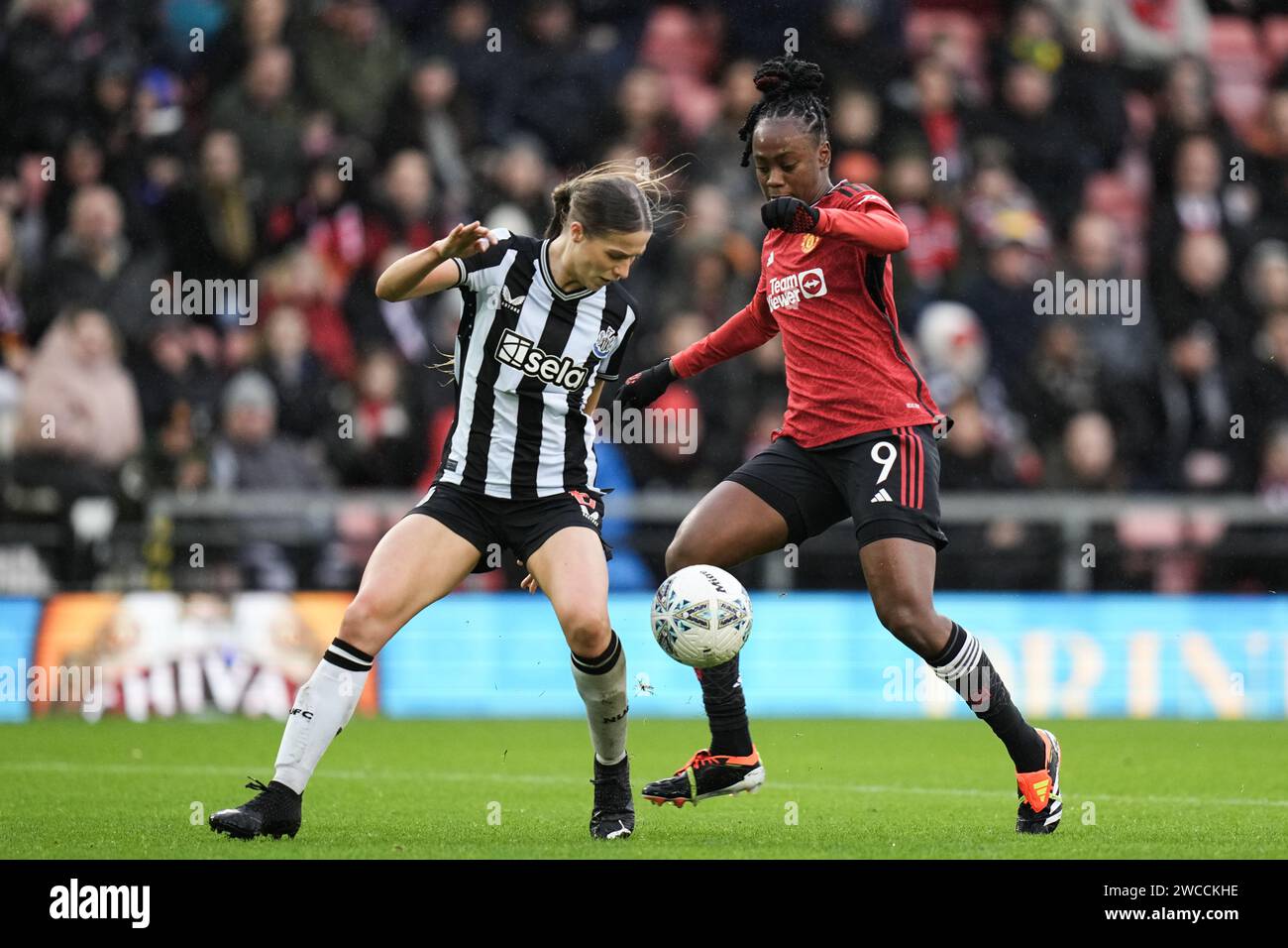 Melvine mallard hi-res stock photography and images - Alamy
