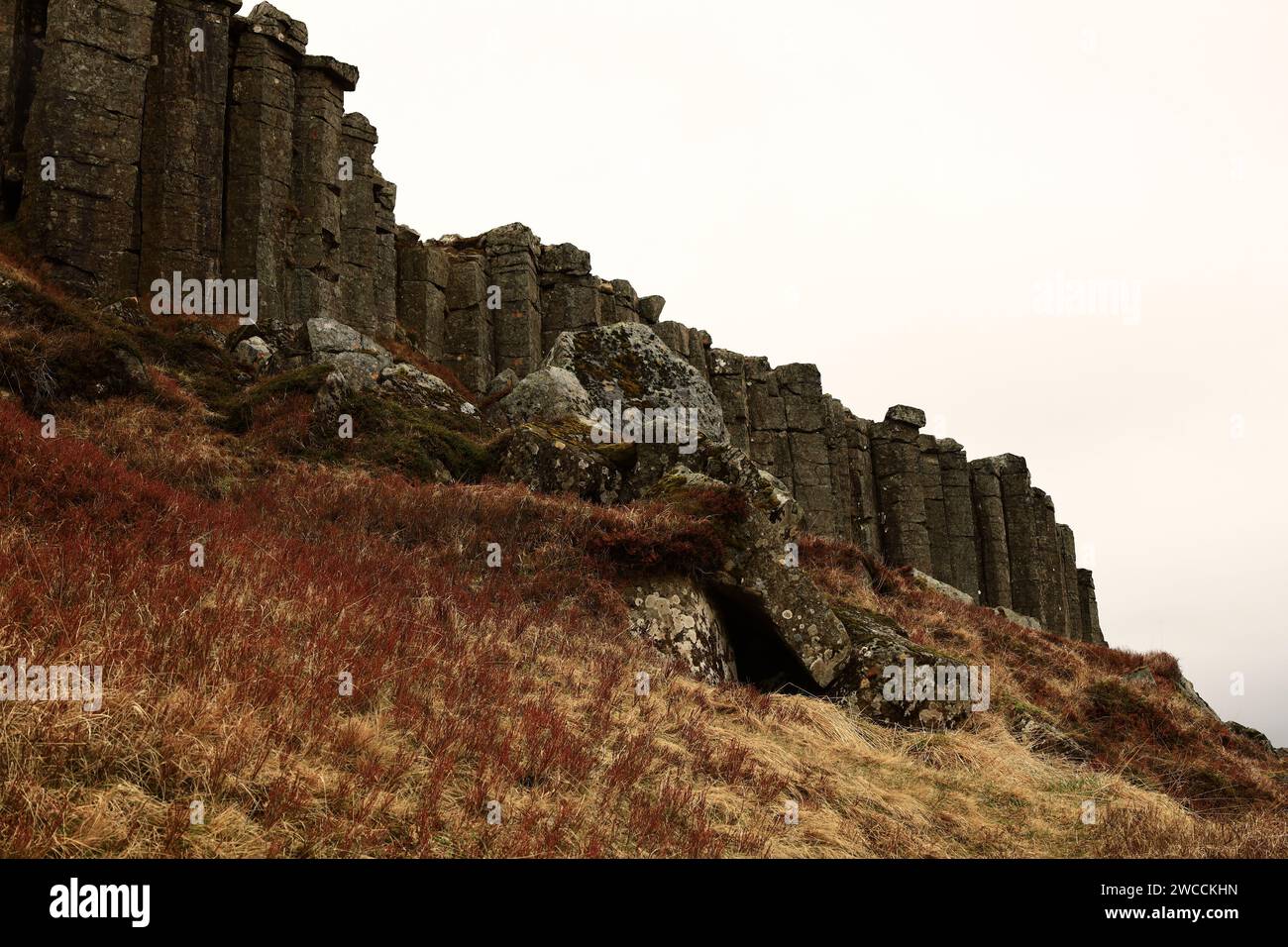 Gerðubergis a dolerite cliff, a coarse-grained basalt rock, located on ...