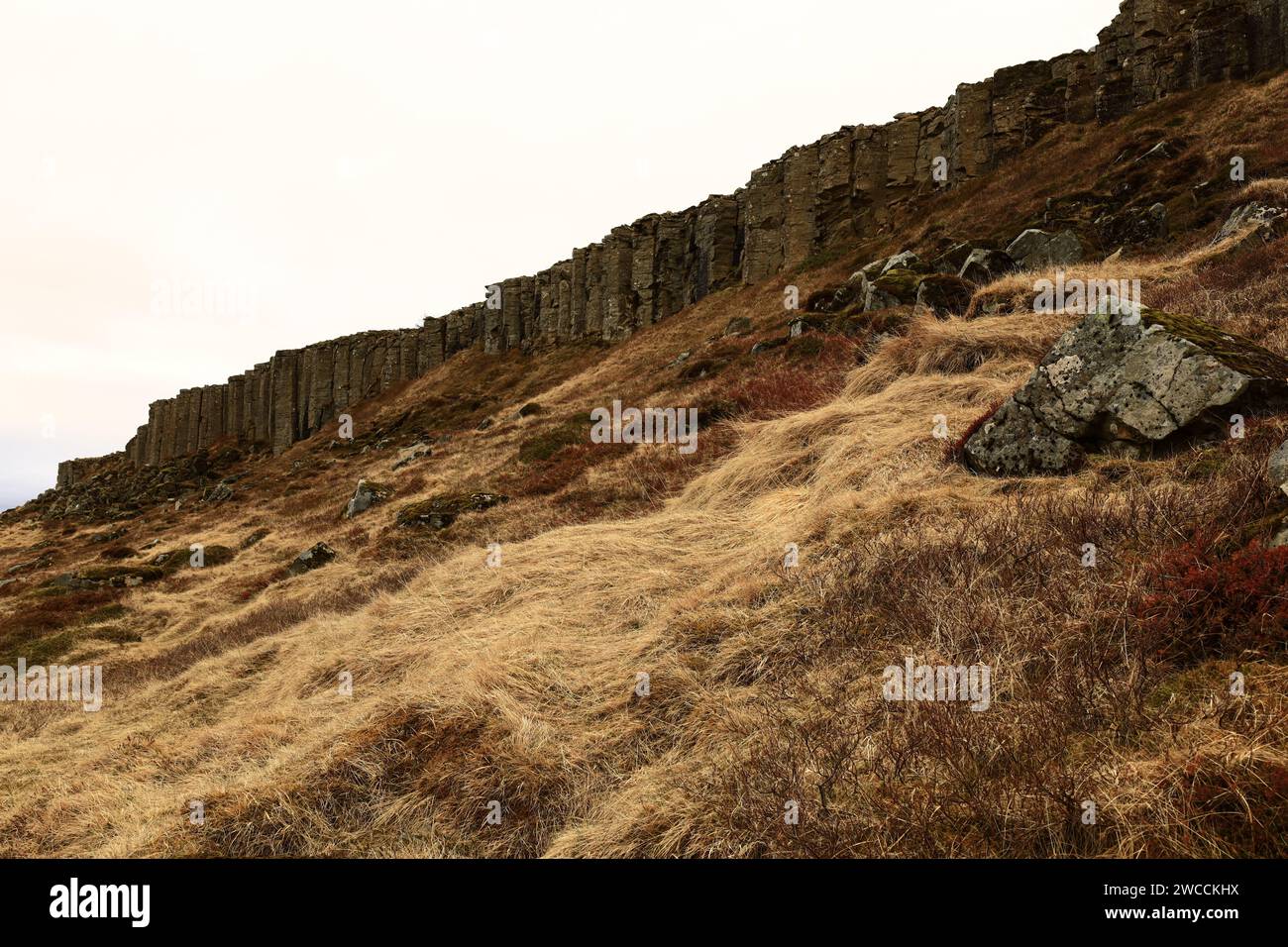 Gerðubergis a dolerite cliff, a coarse-grained basalt rock, located on ...