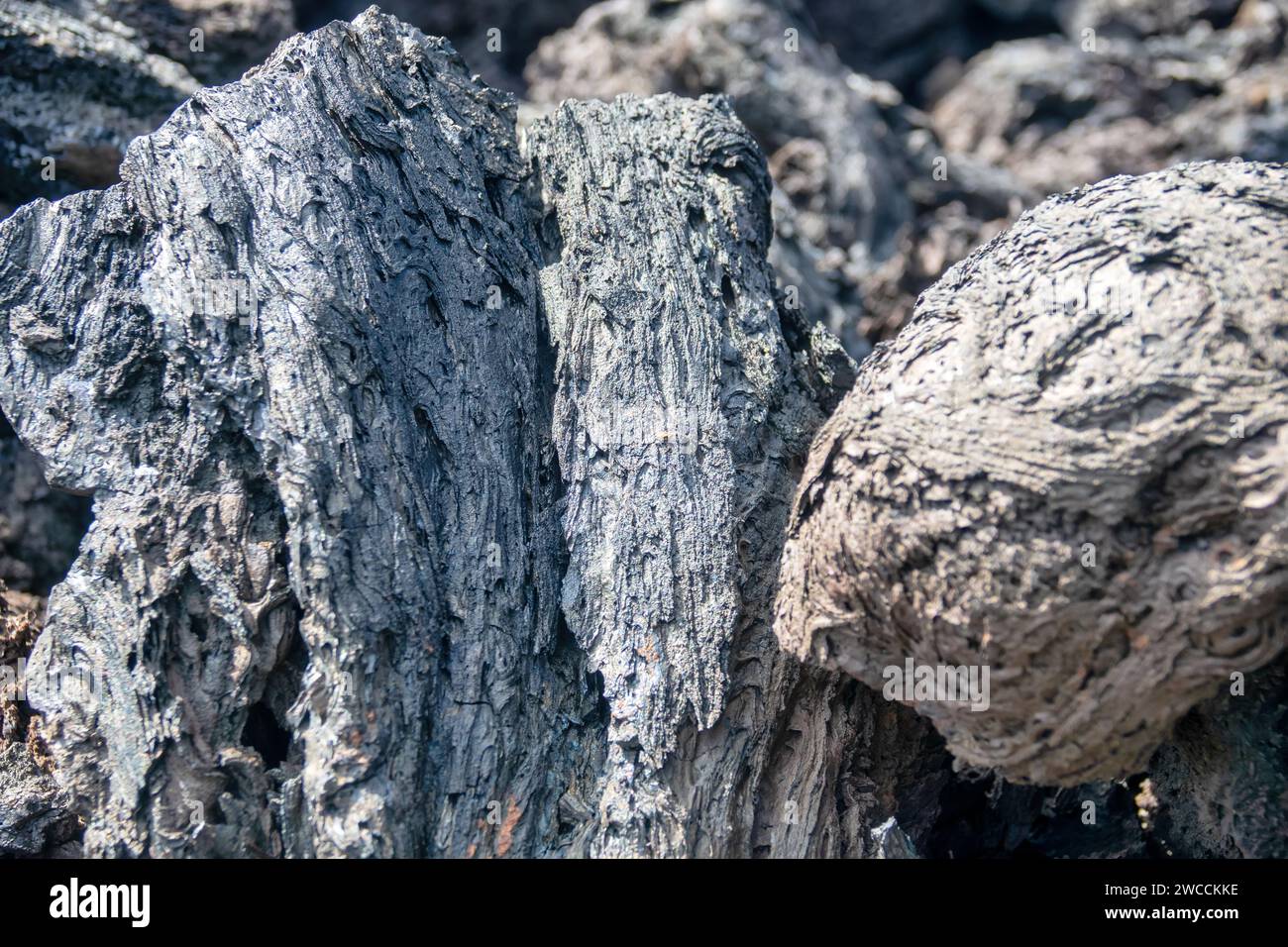 A variety of forms of basalt solidified lava (clinker, block-lava ...