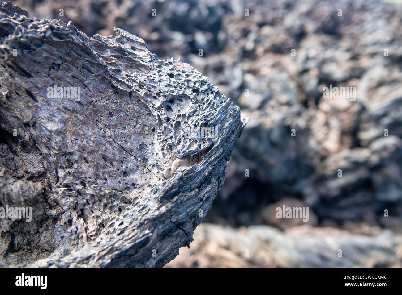 A variety of forms of basalt solidified lava (clinker, block-lava ...