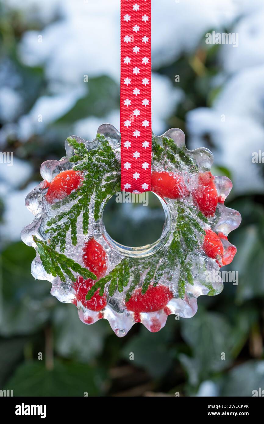ice figure with rose hips and arbor vitae branches hanging in winter ...