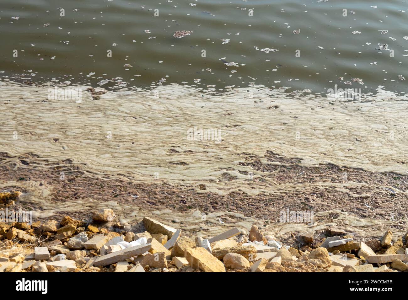 Saline crust. Hypersalted lagoon on the shore of the Strait of Hormuz ...