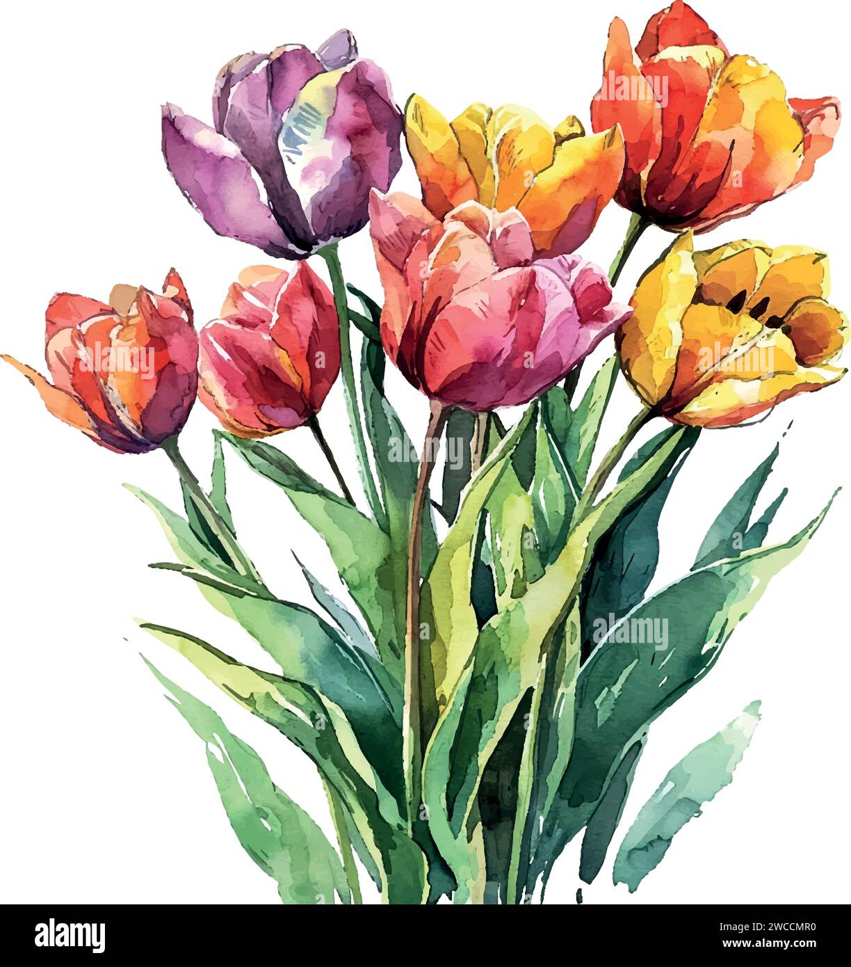 bouquet of tulips cartoon style watercolor illustration on white Stock ...