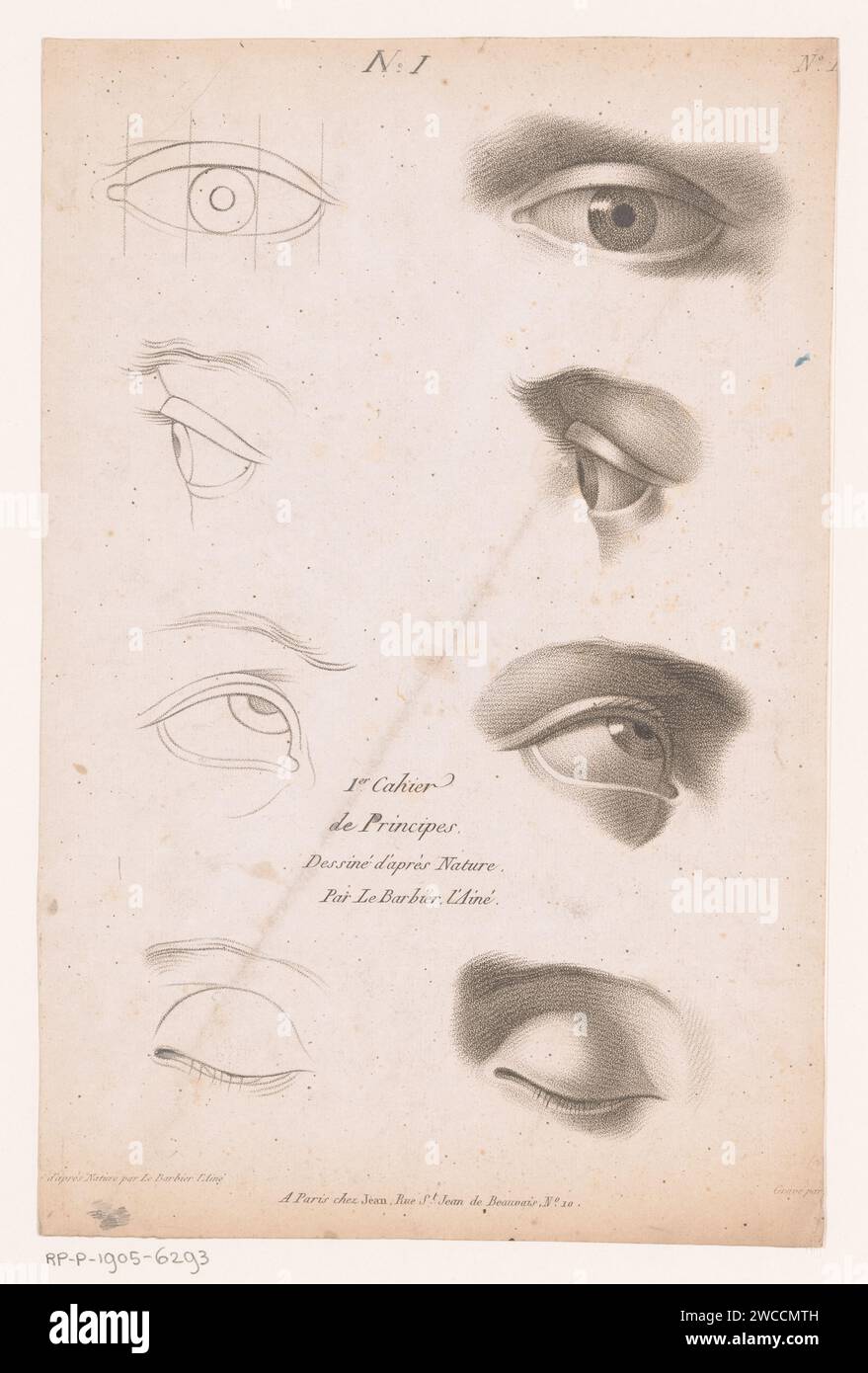 Eight different eyes hi-res stock photography and images - Alamy