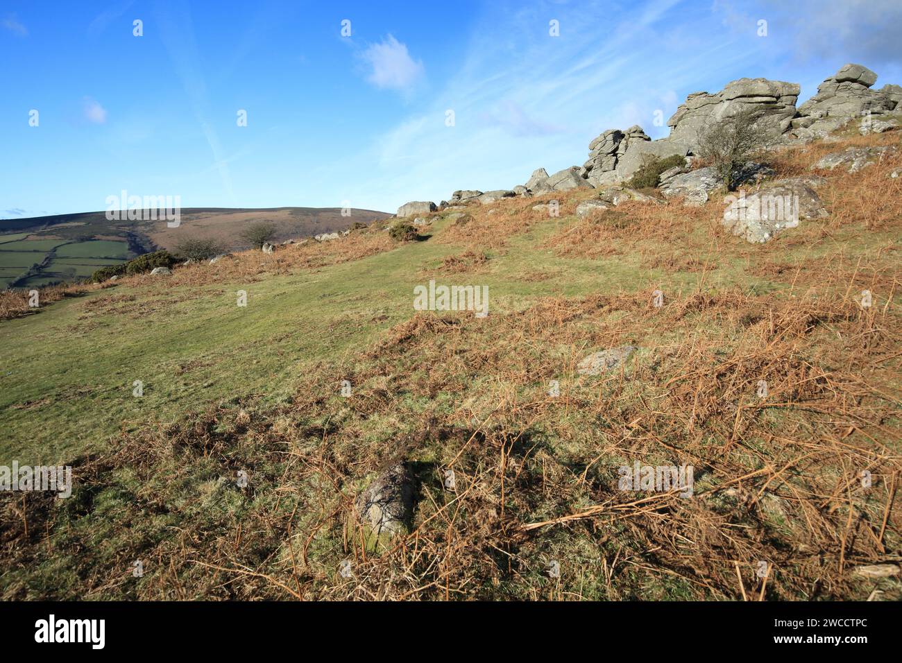 Winter view of Bonehill Rocks above Widecombe, Dartmoor, Devon ...