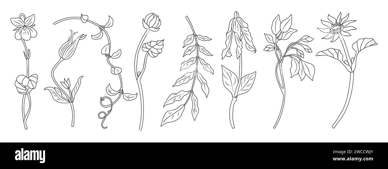 Set of elegant spring flowers line art vector Stock Vector Image & Art ...